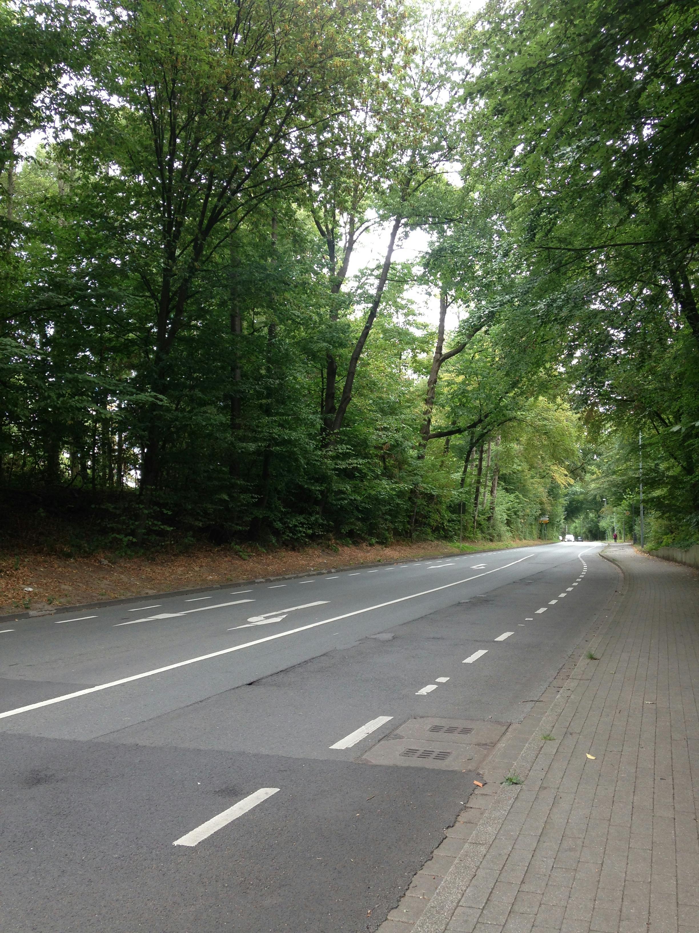 Germany 12 Photos & Videos Collected by Siren Watcher