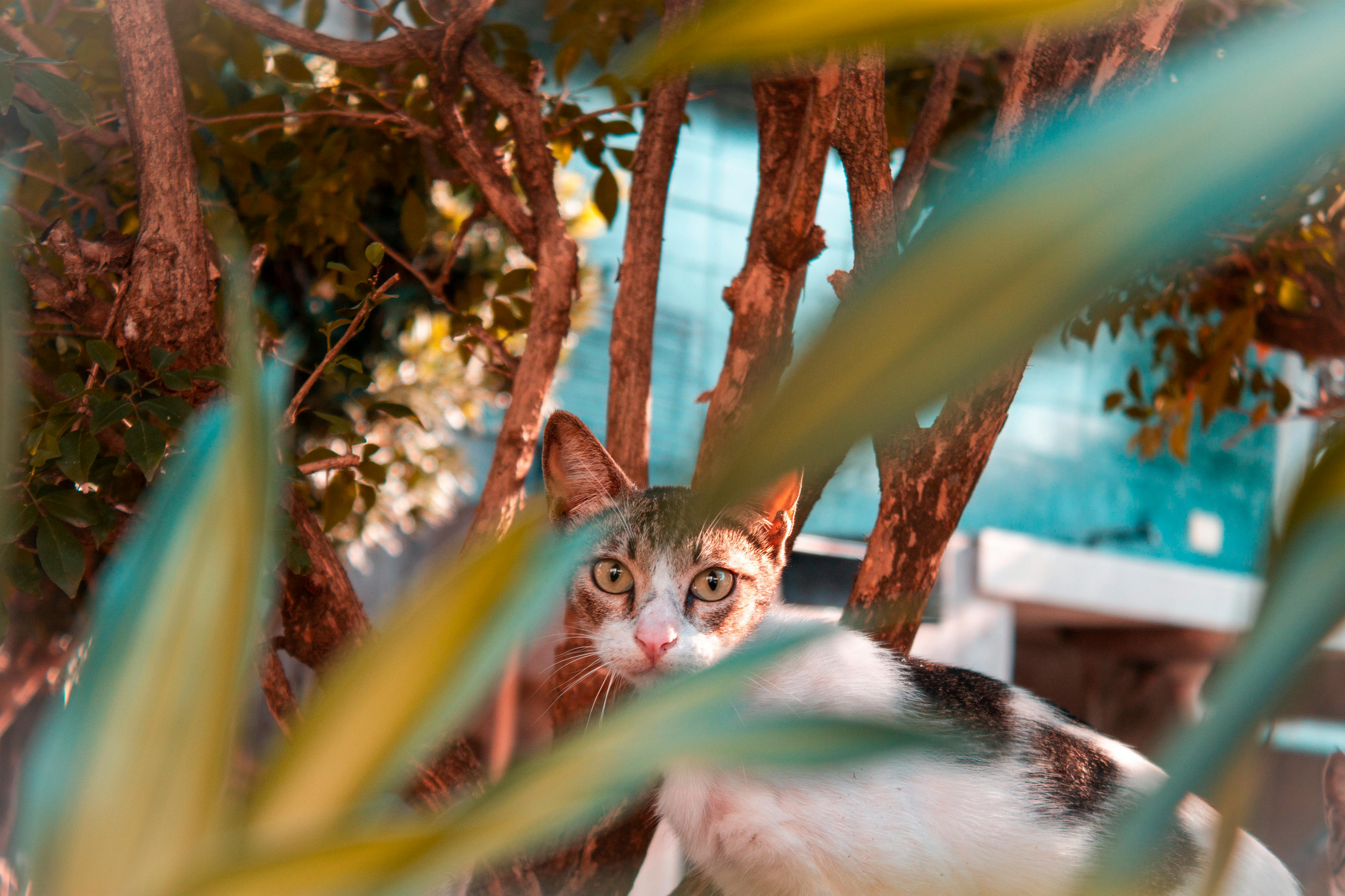 Cherry Ang - Photography