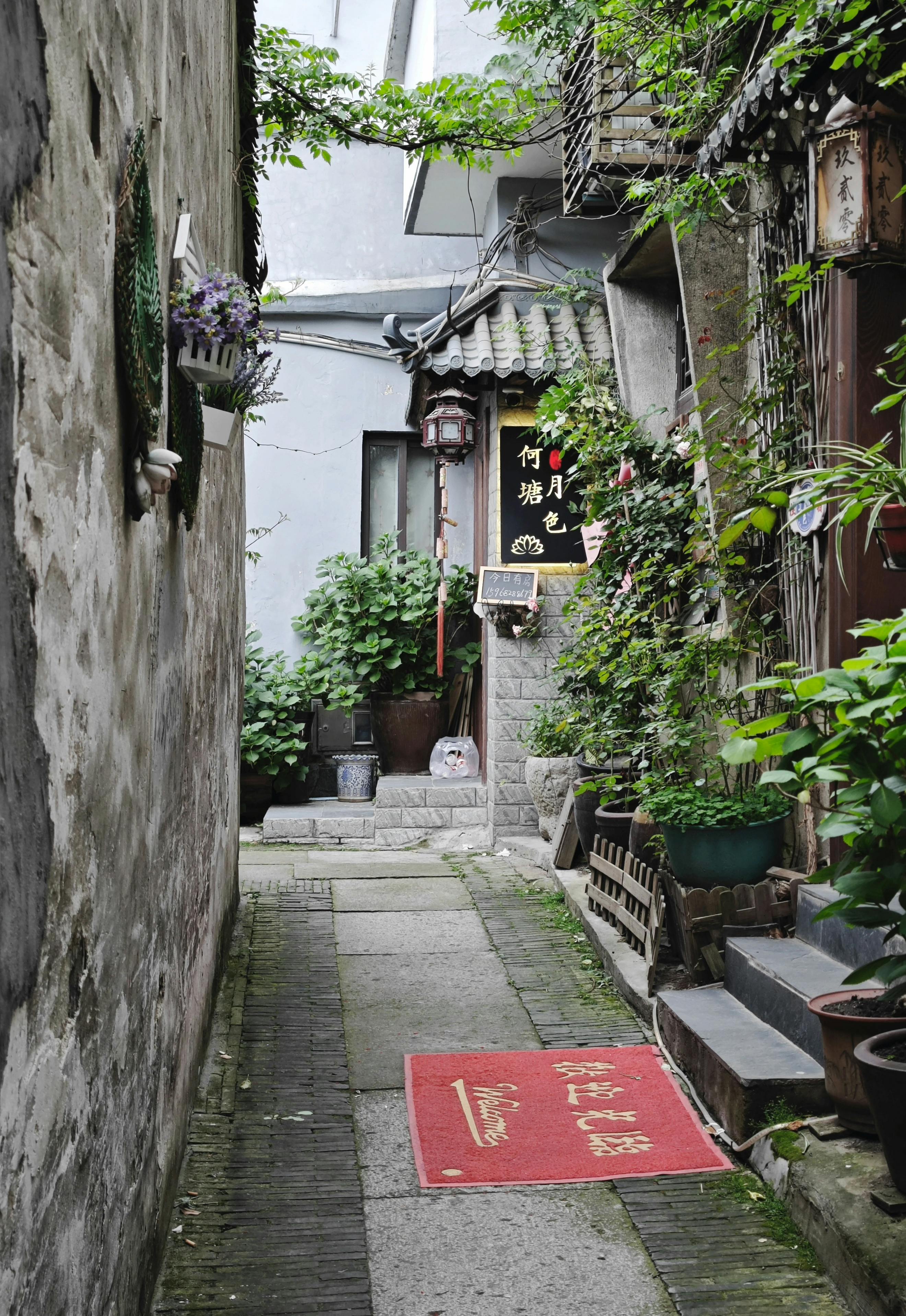 Narrow Walkway Between Houses Decorated with Plants · Free Stock Photo