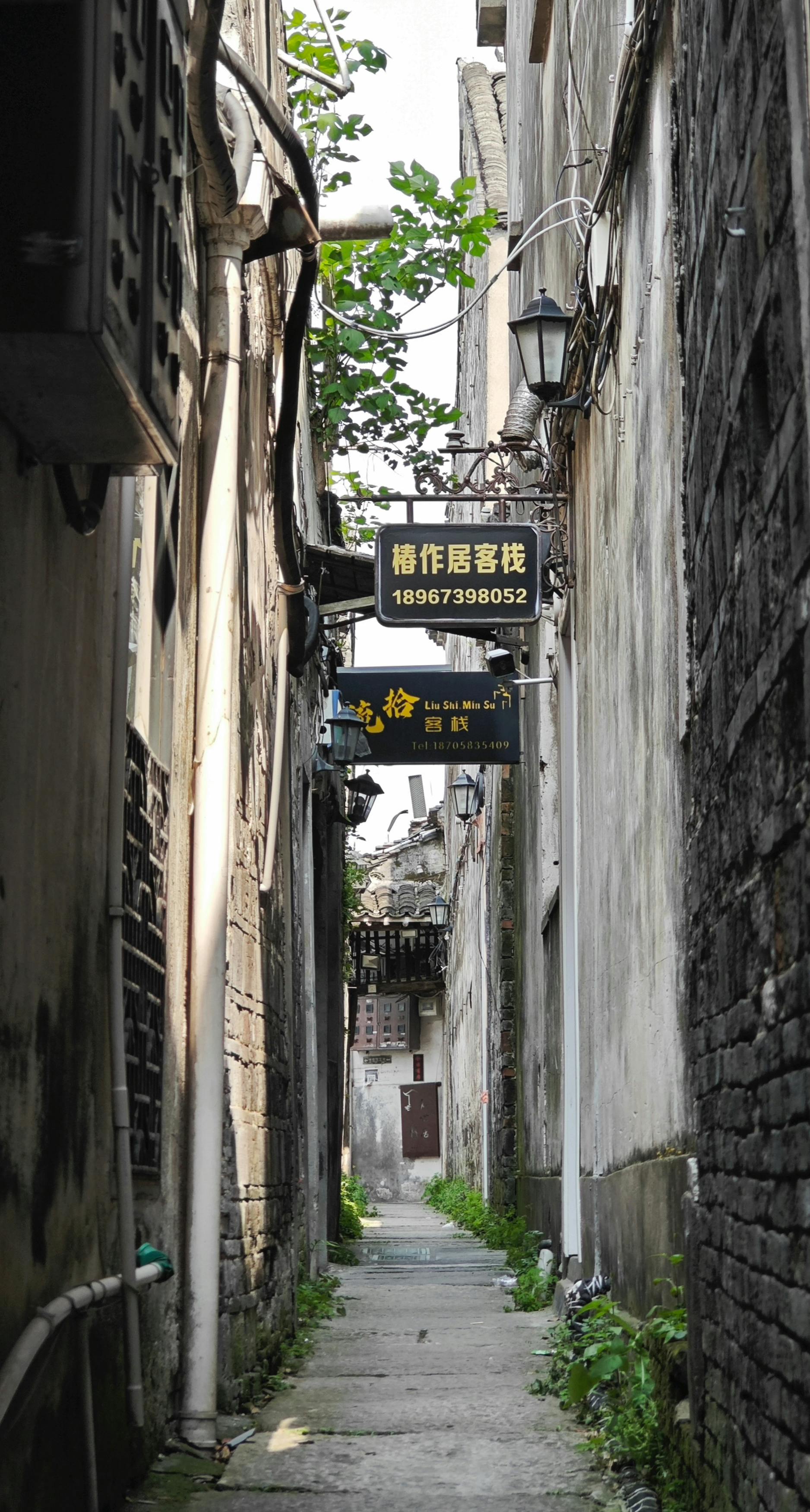 Back Alley Photos, Download The BEST Free Back Alley Stock Photos & HD ...