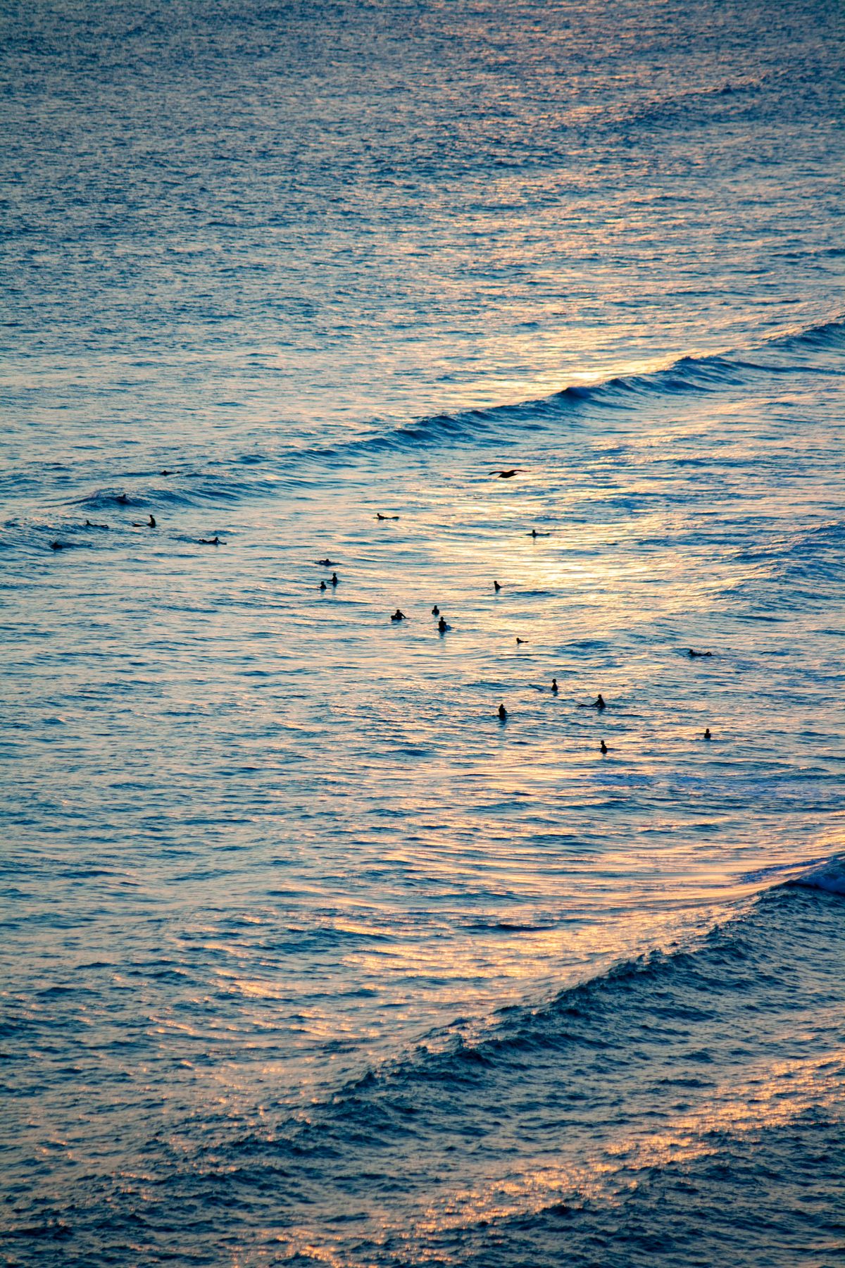Being Free Photos, Download The BEST Free Being Free Stock Photos & HD ...