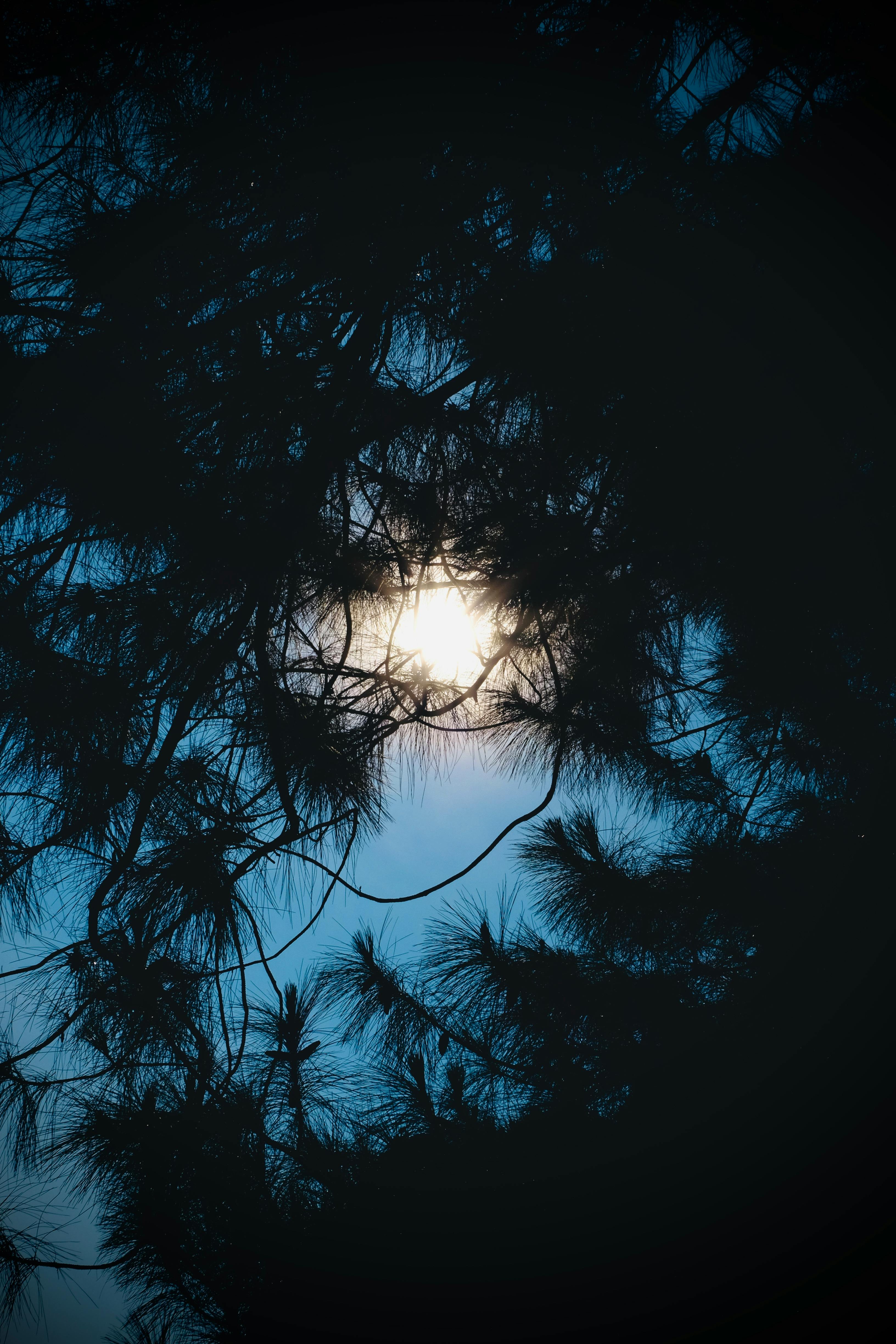 Ryan Aditya Amir - Photography