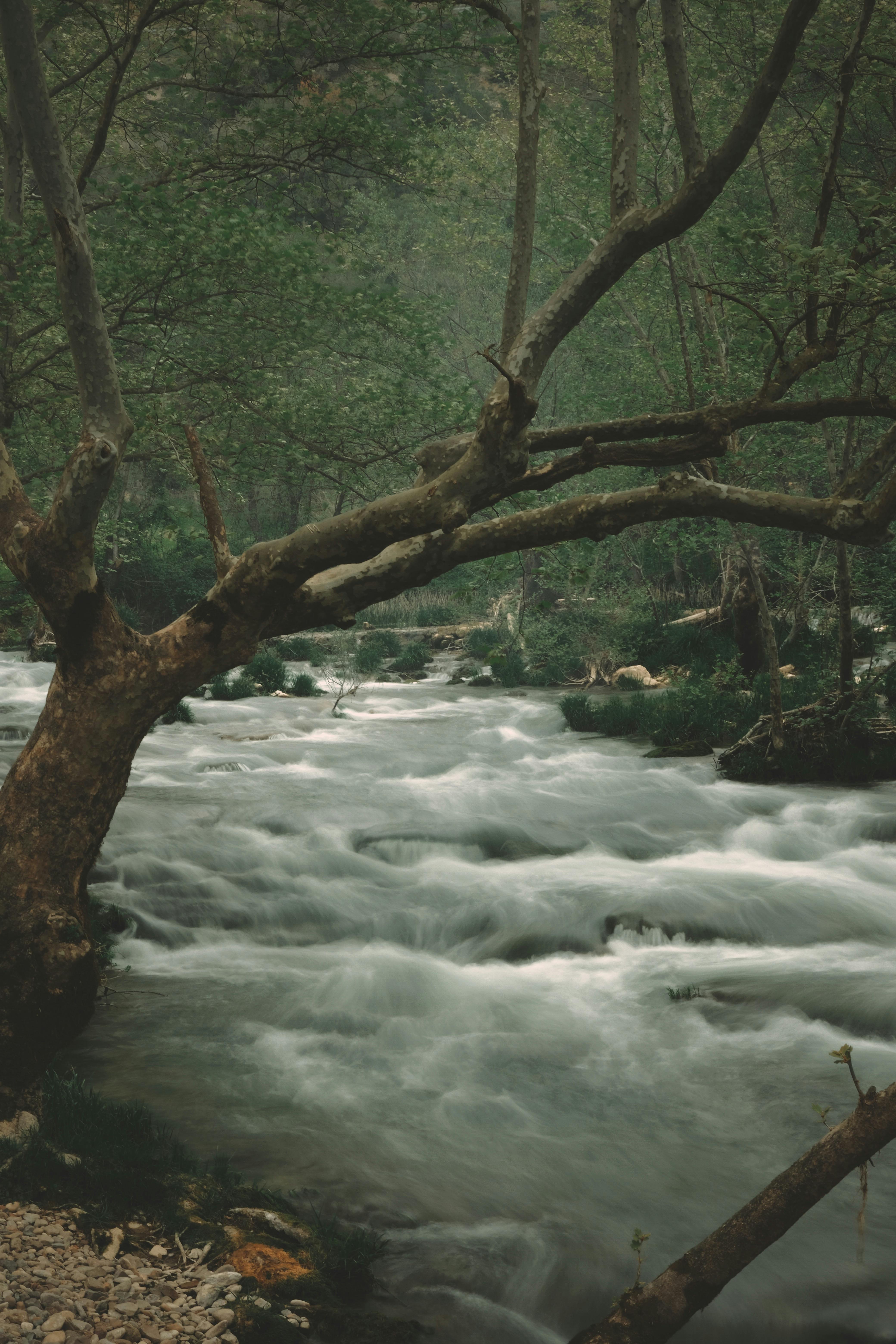 Disturbed Water of Wild River · Free Stock Photo