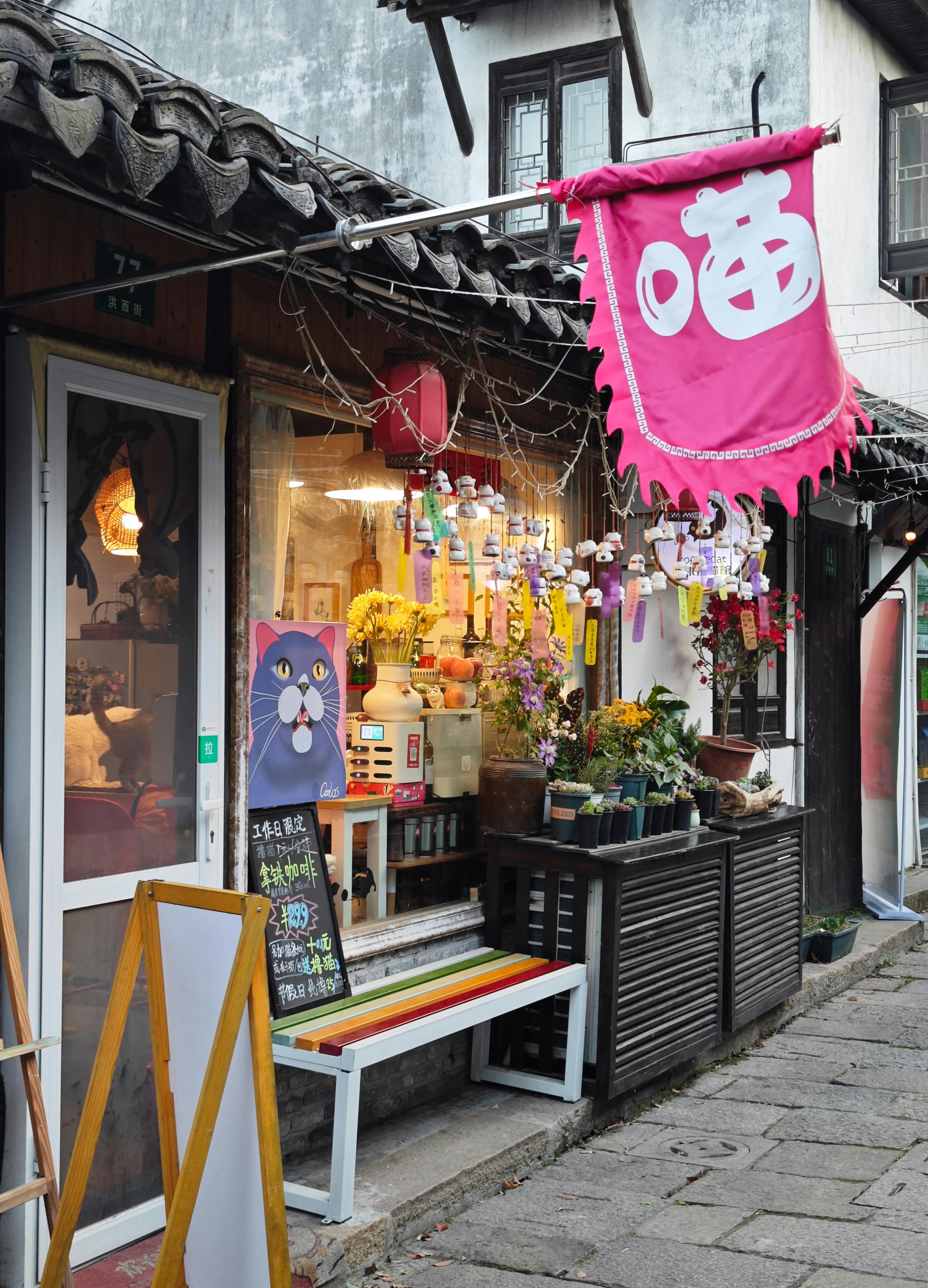 Flag over Store in Town · Free Stock Photo