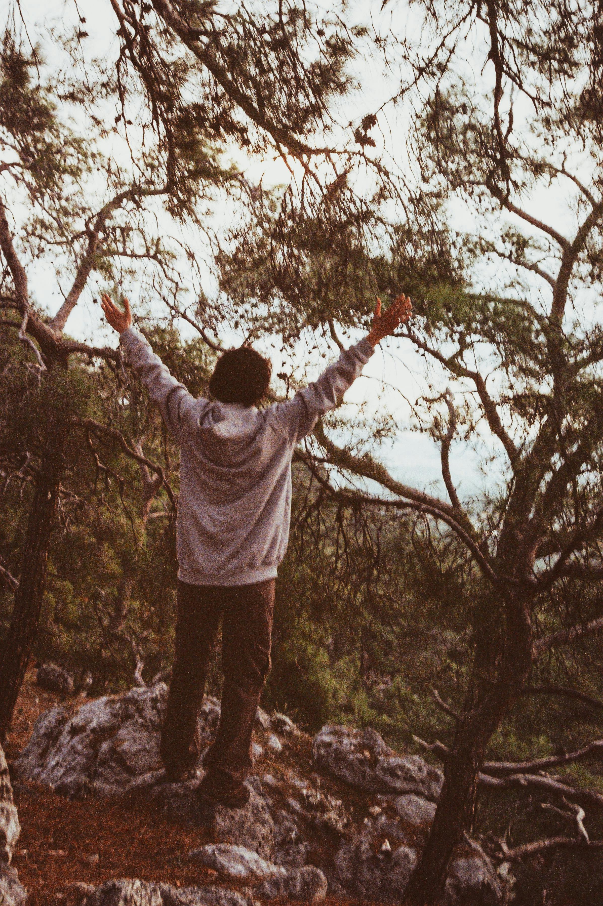 Sustainable Existence Photos, Download The BEST Free Sustainable ...