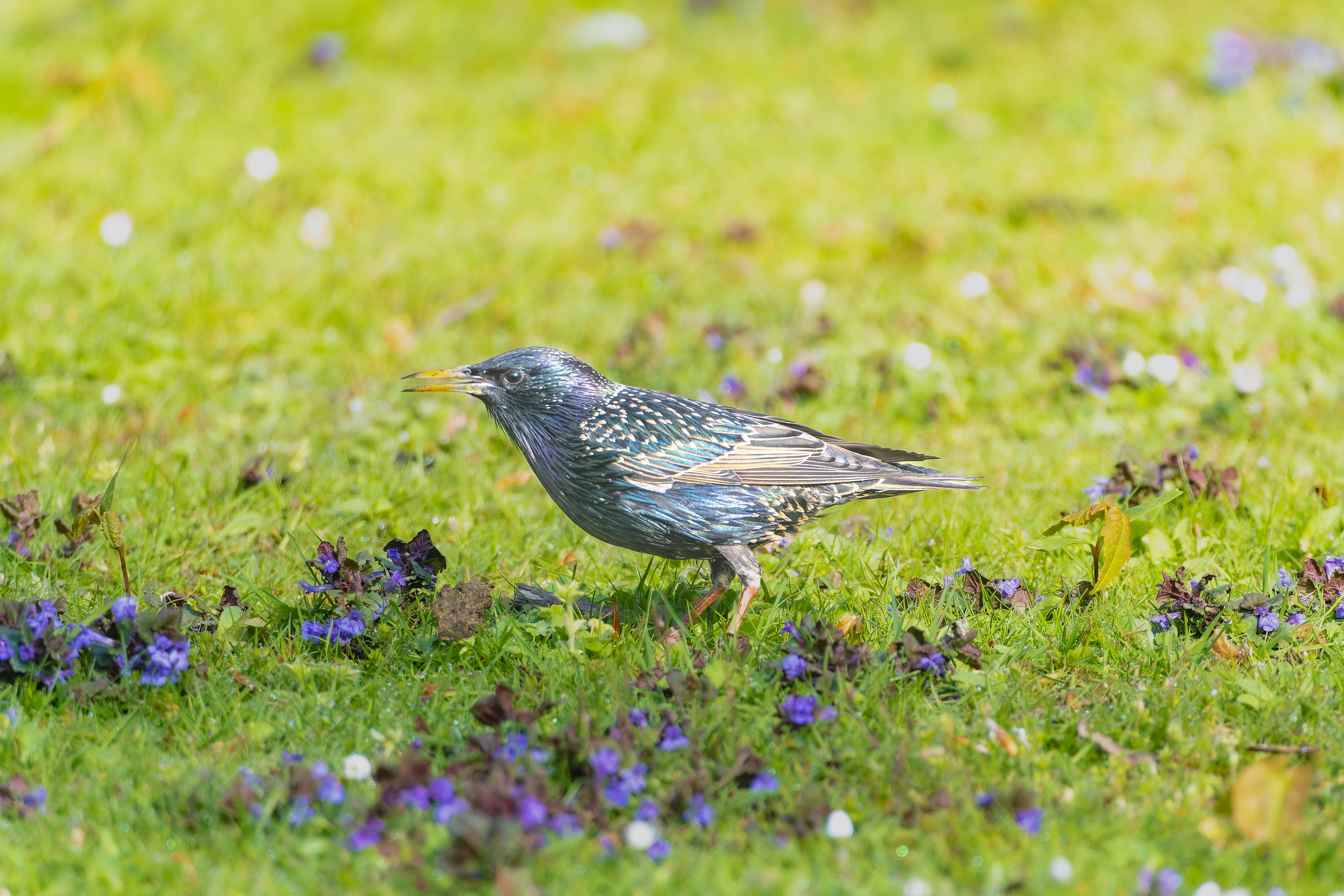 Small Icons Photos, Download The BEST Free Small Icons Stock Photos ...