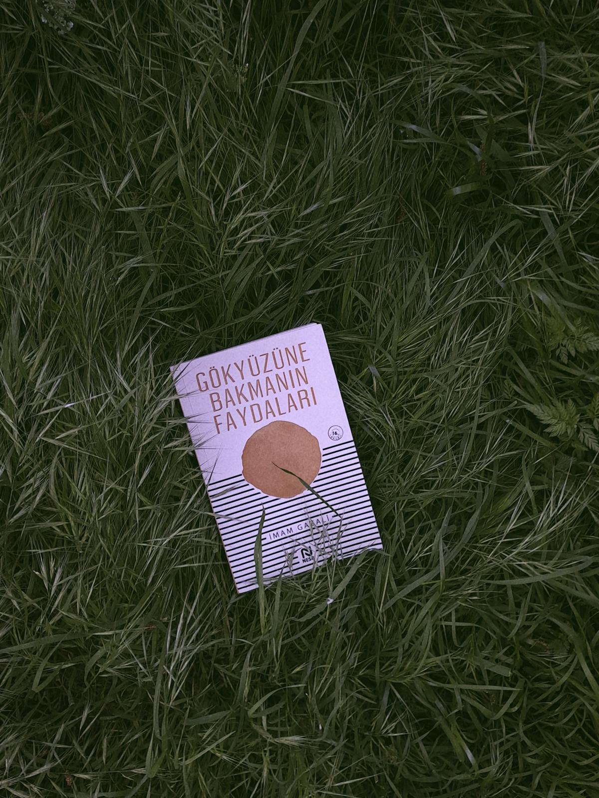 Single Book Photos, Download The BEST Free Single Book Stock Photos ...