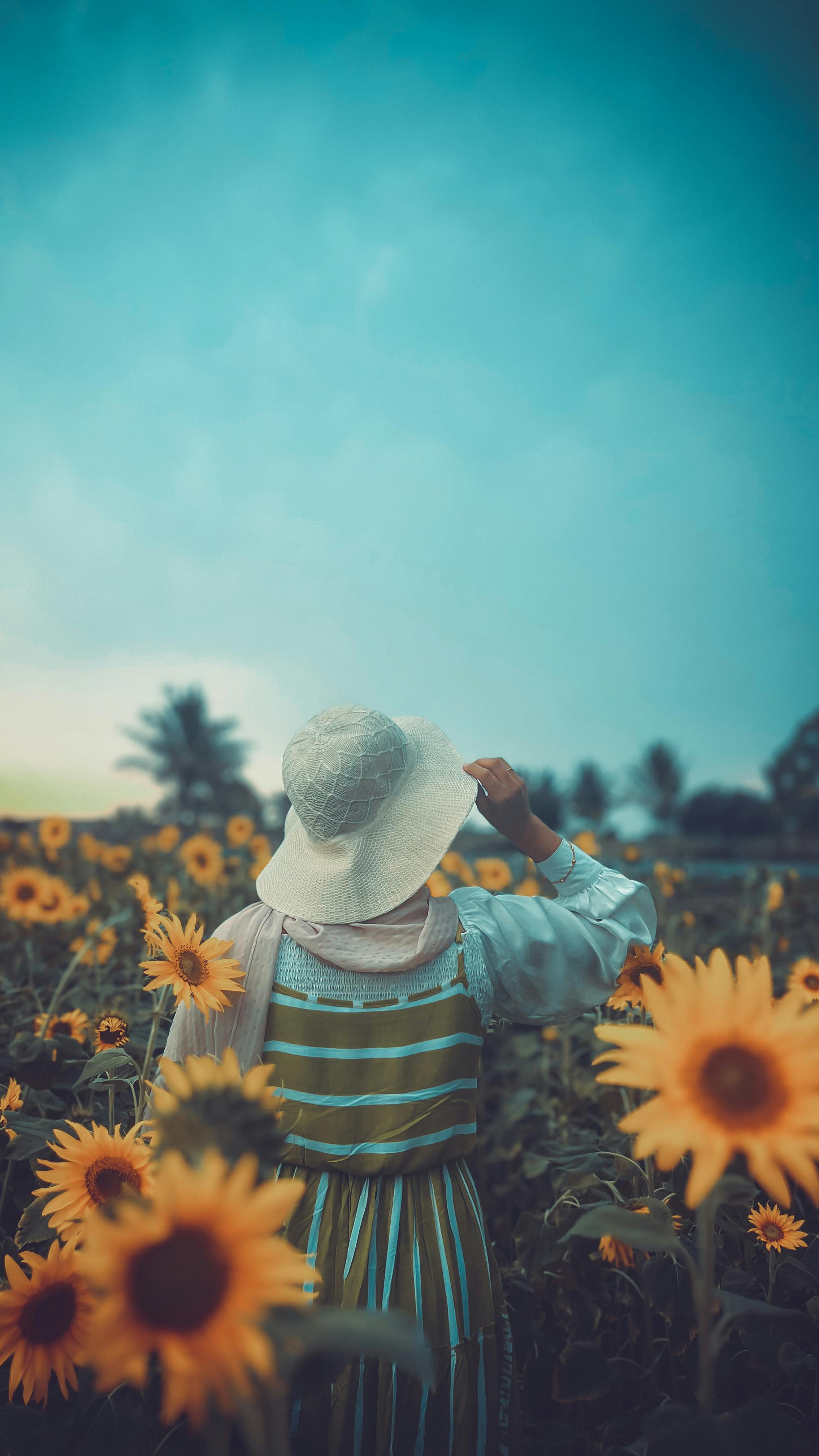 Woman in Hat on Field of Sunflowers · Free Stock Photo