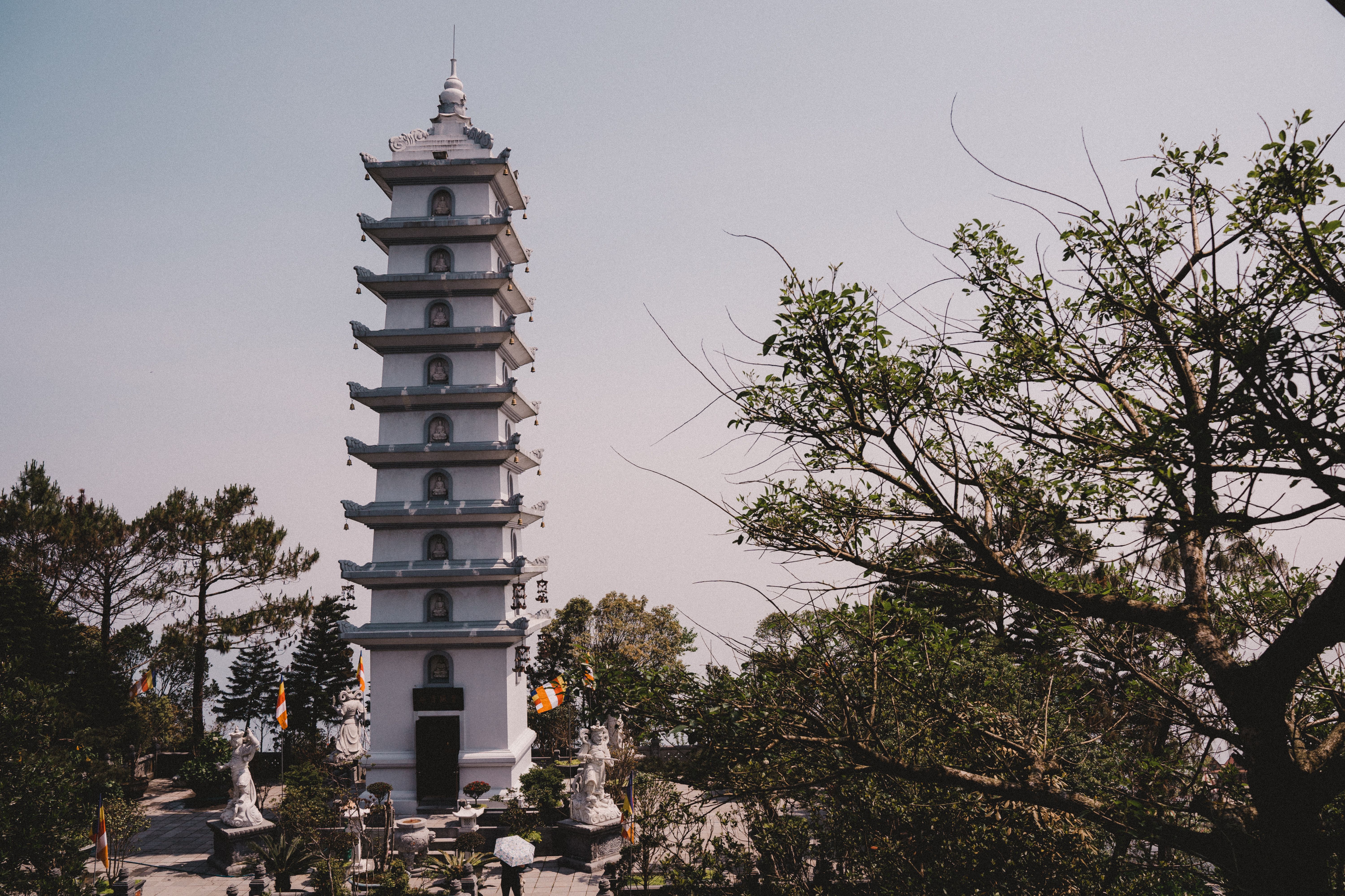 Trees around Pagoda · Free Stock Photo