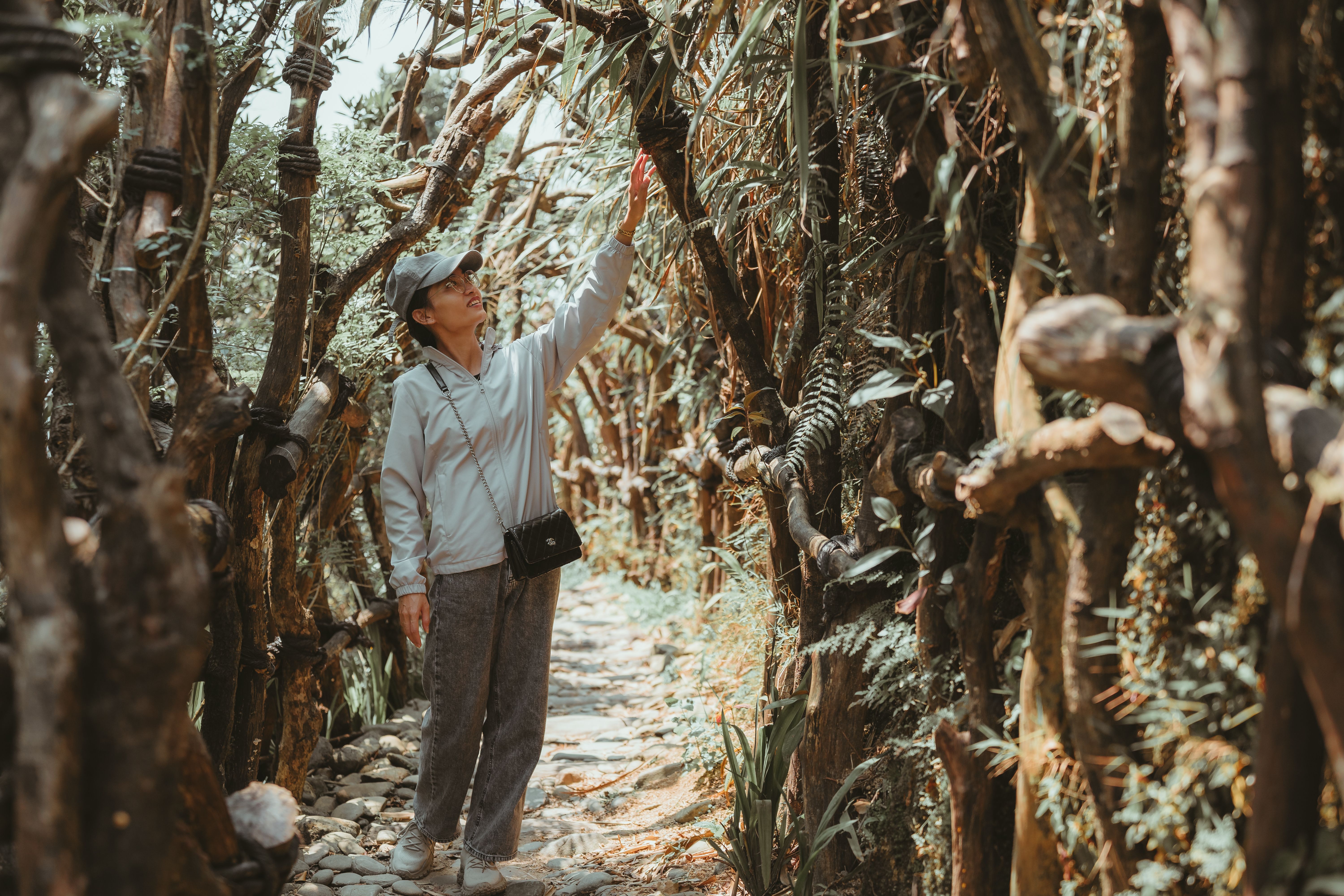Smiling Woman among Trees · Free Stock Photo
