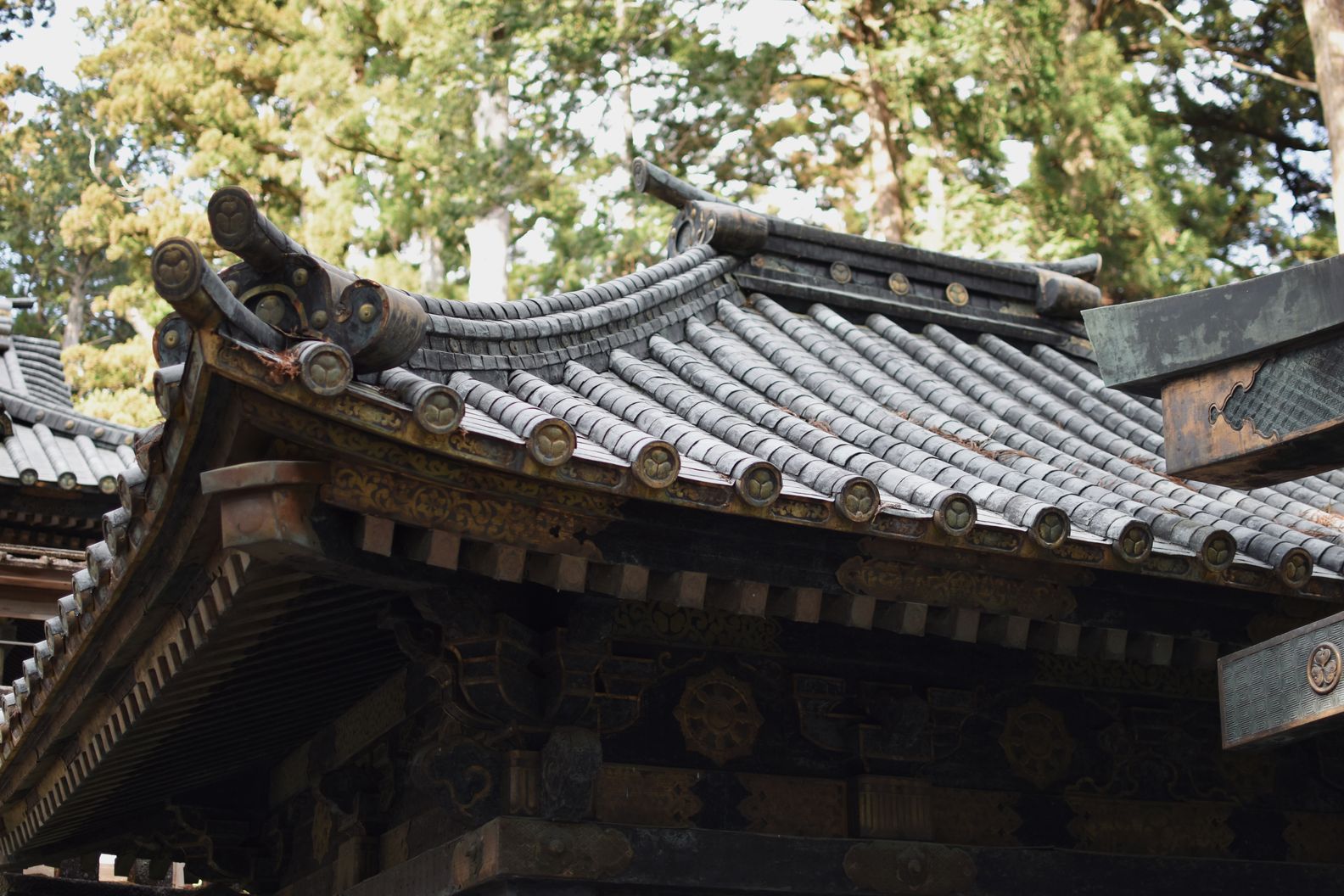 East Asian Hip-and-Gable Roof: Timeless Chinese Architecture
