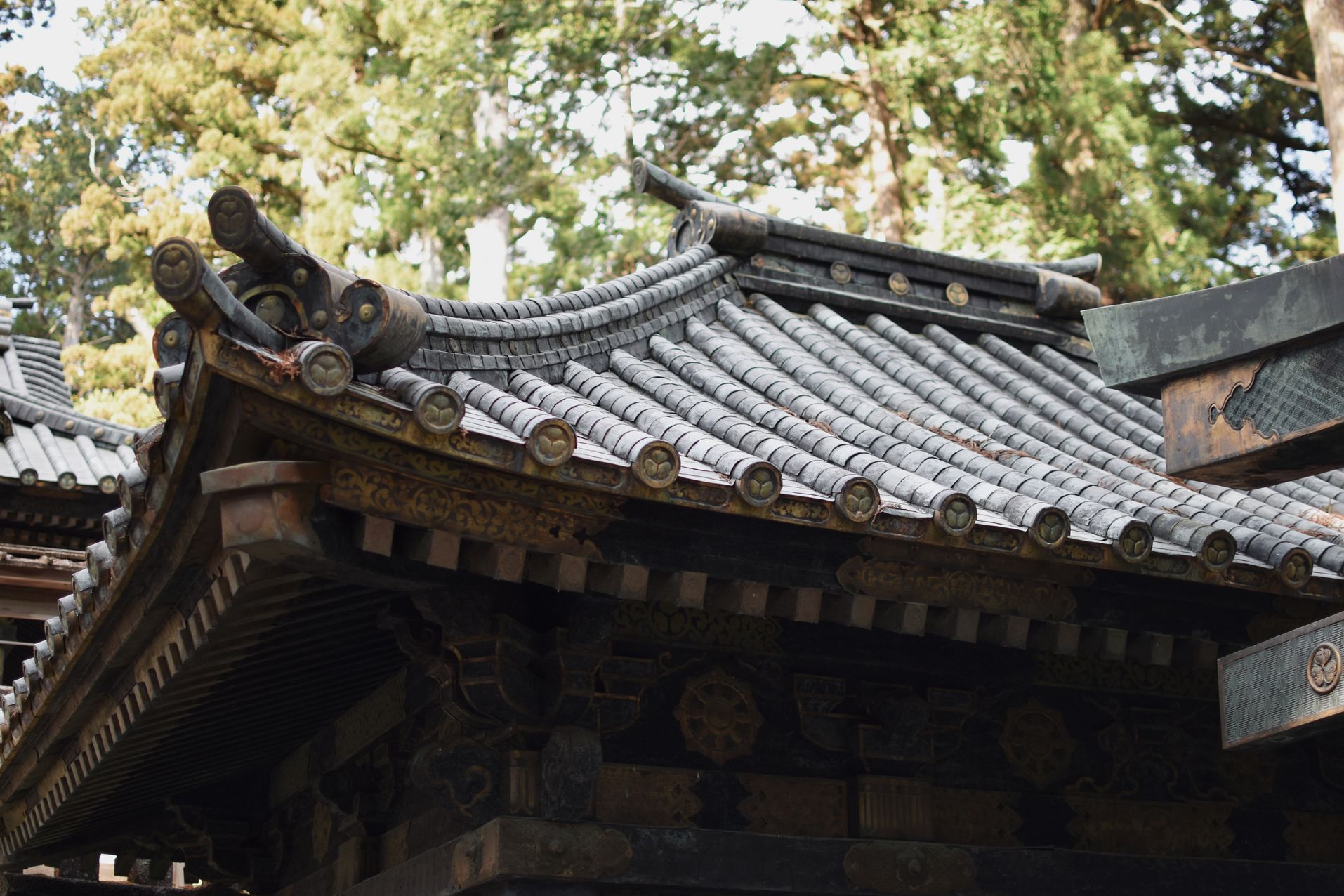 East Asian Hip-and-Gable Roof: Timeless Chinese Architecture