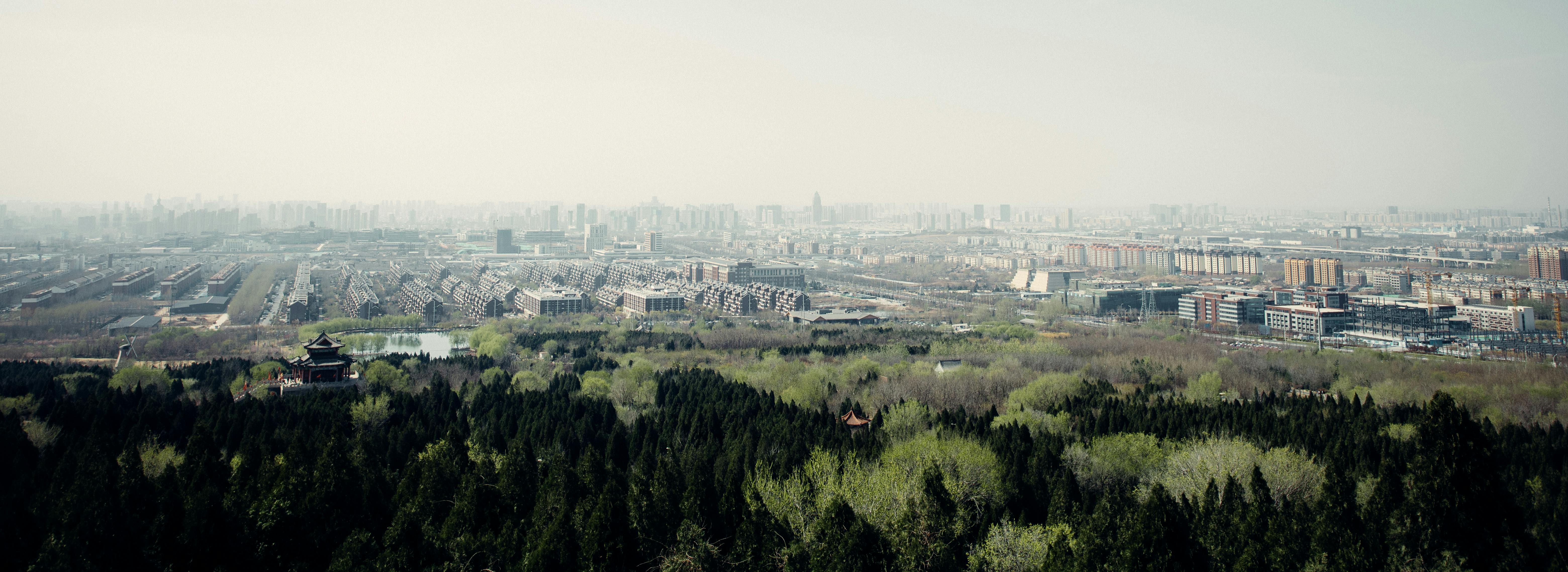 Panoramic View of the City and a Park · Free Stock Photo