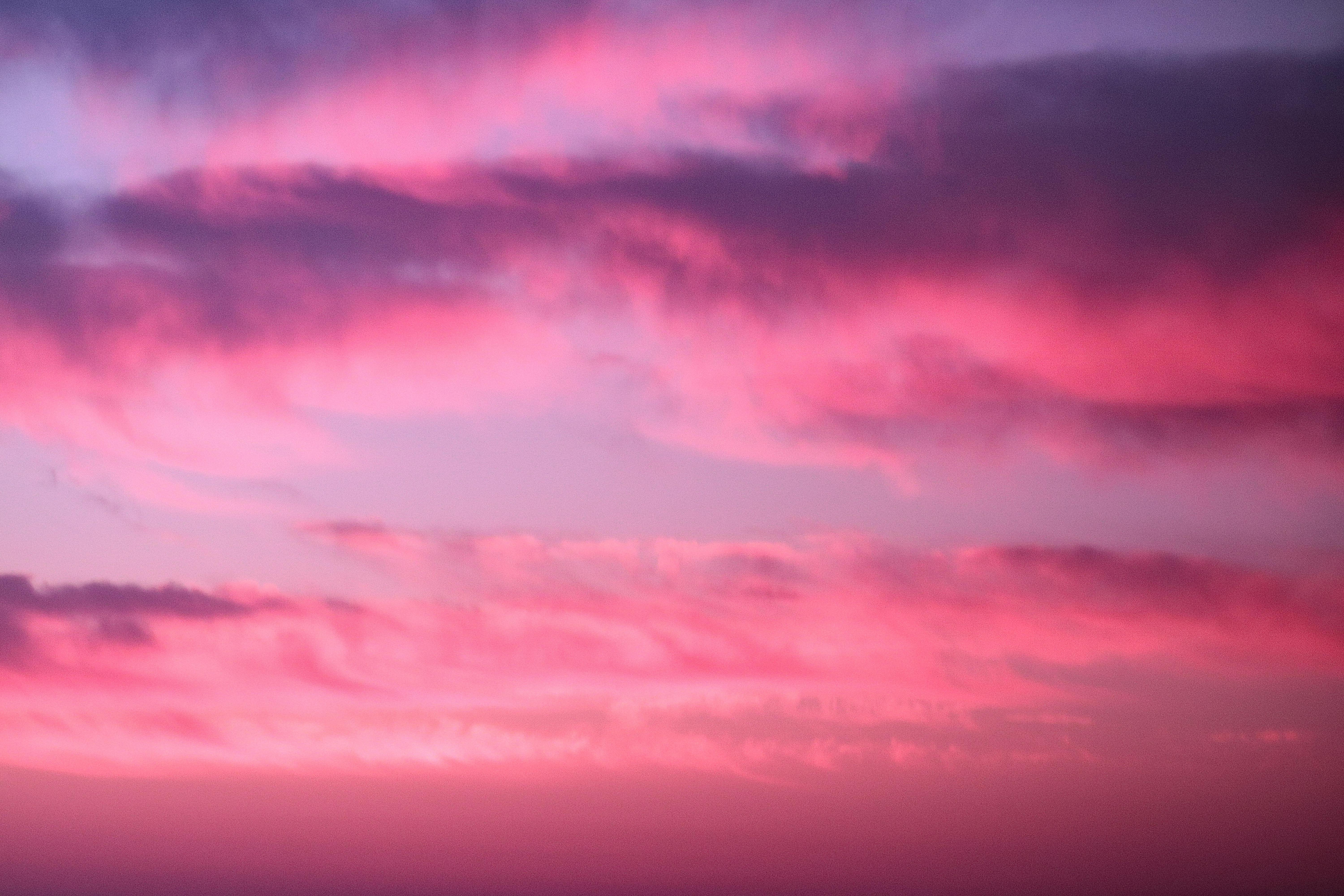 A Pink Sunset Sky · Free Stock Photo