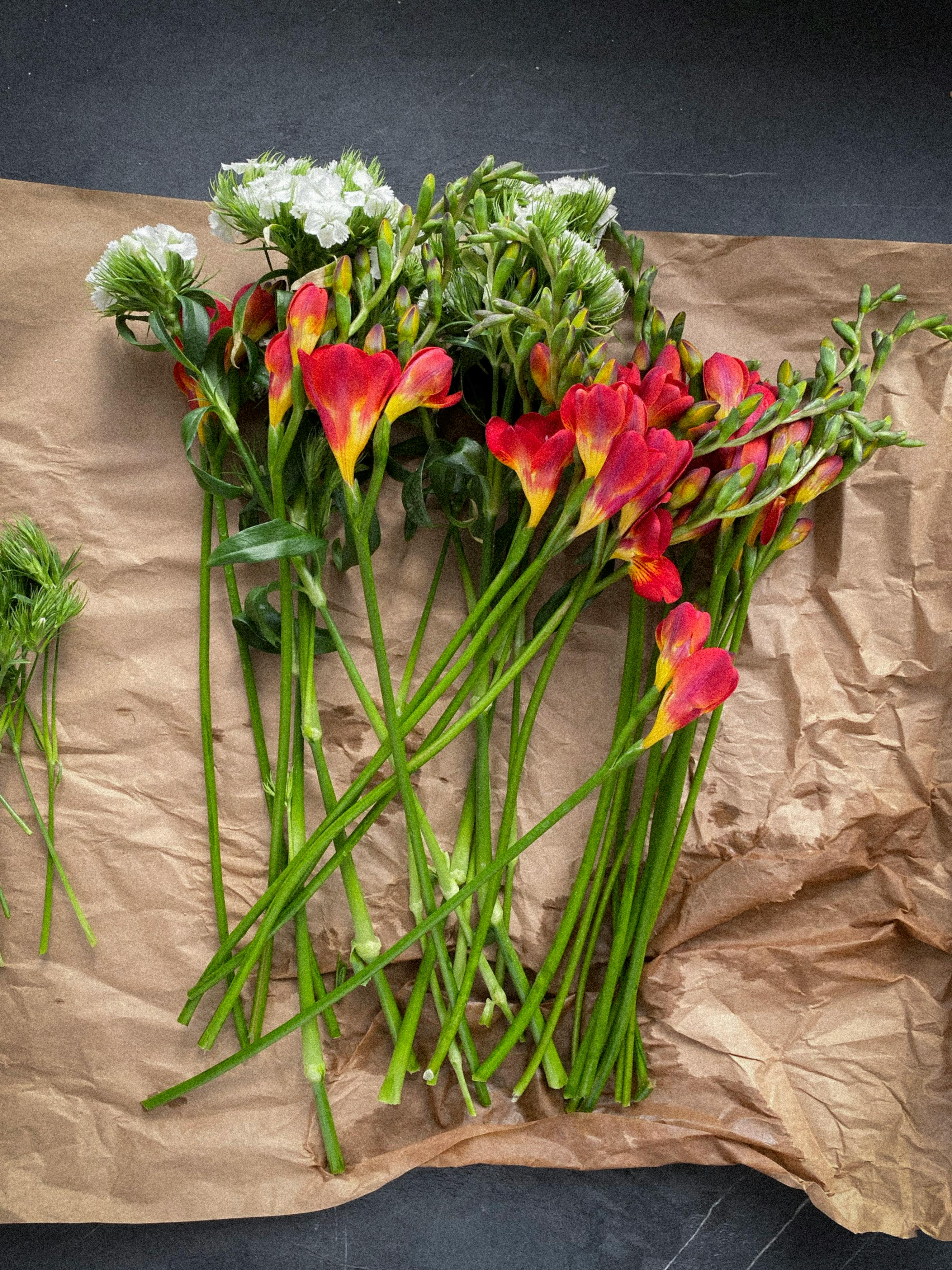 Paper Shredding Photos, Download The BEST Free Paper Shredding Stock ...