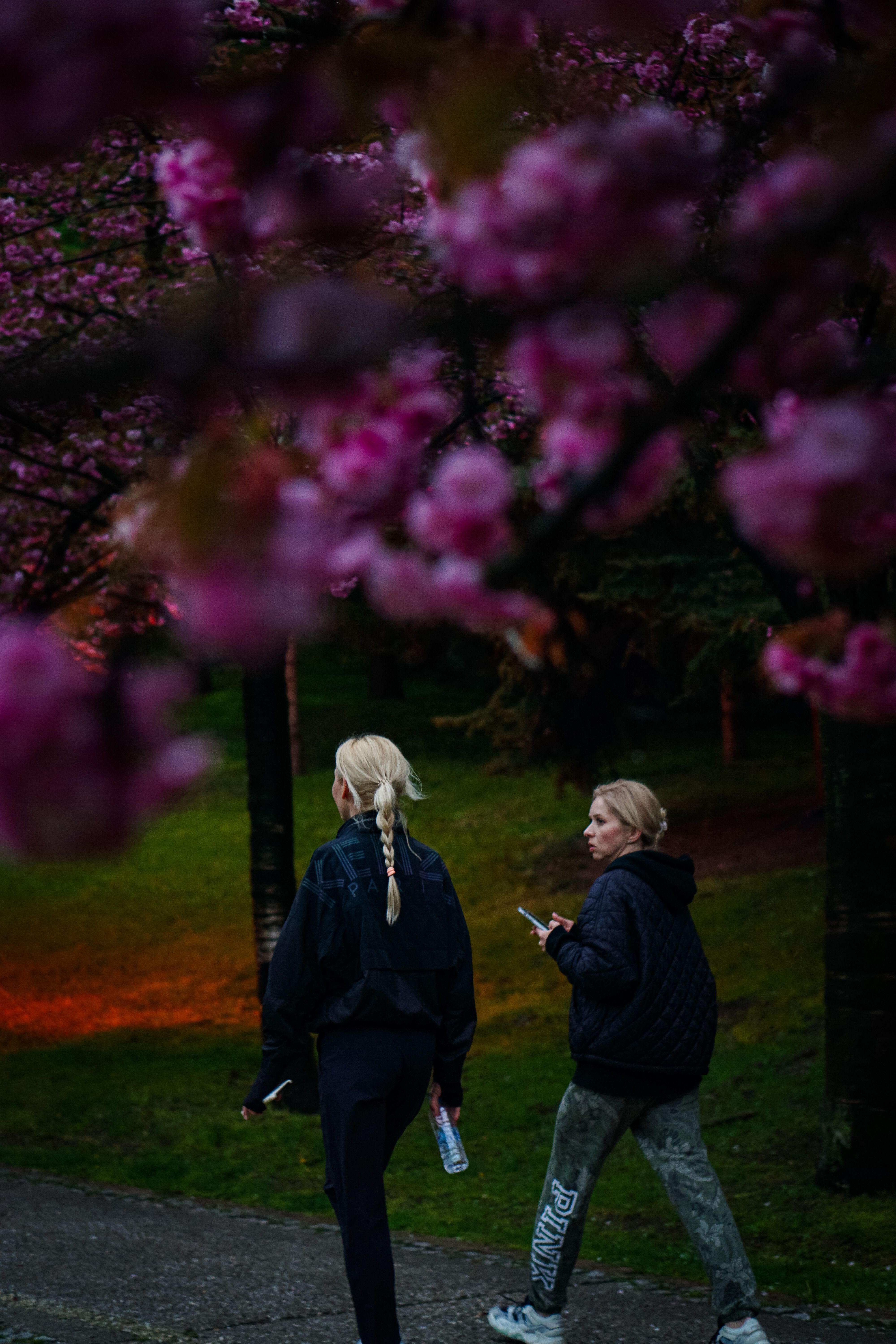 Blonde Women Walking at Park · Free Stock Photo