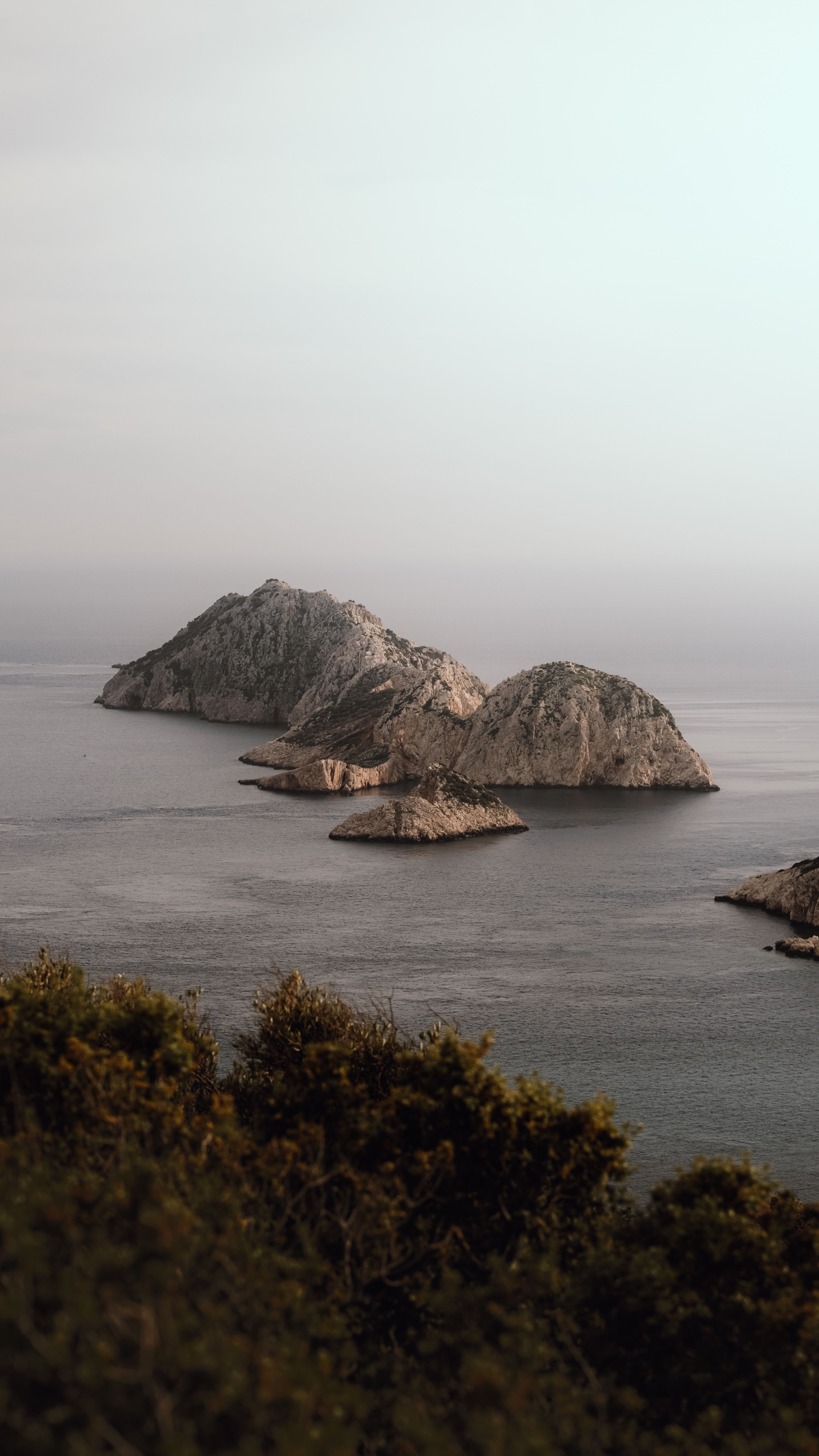 Rocks on Sea Shore near Forest · Free Stock Photo