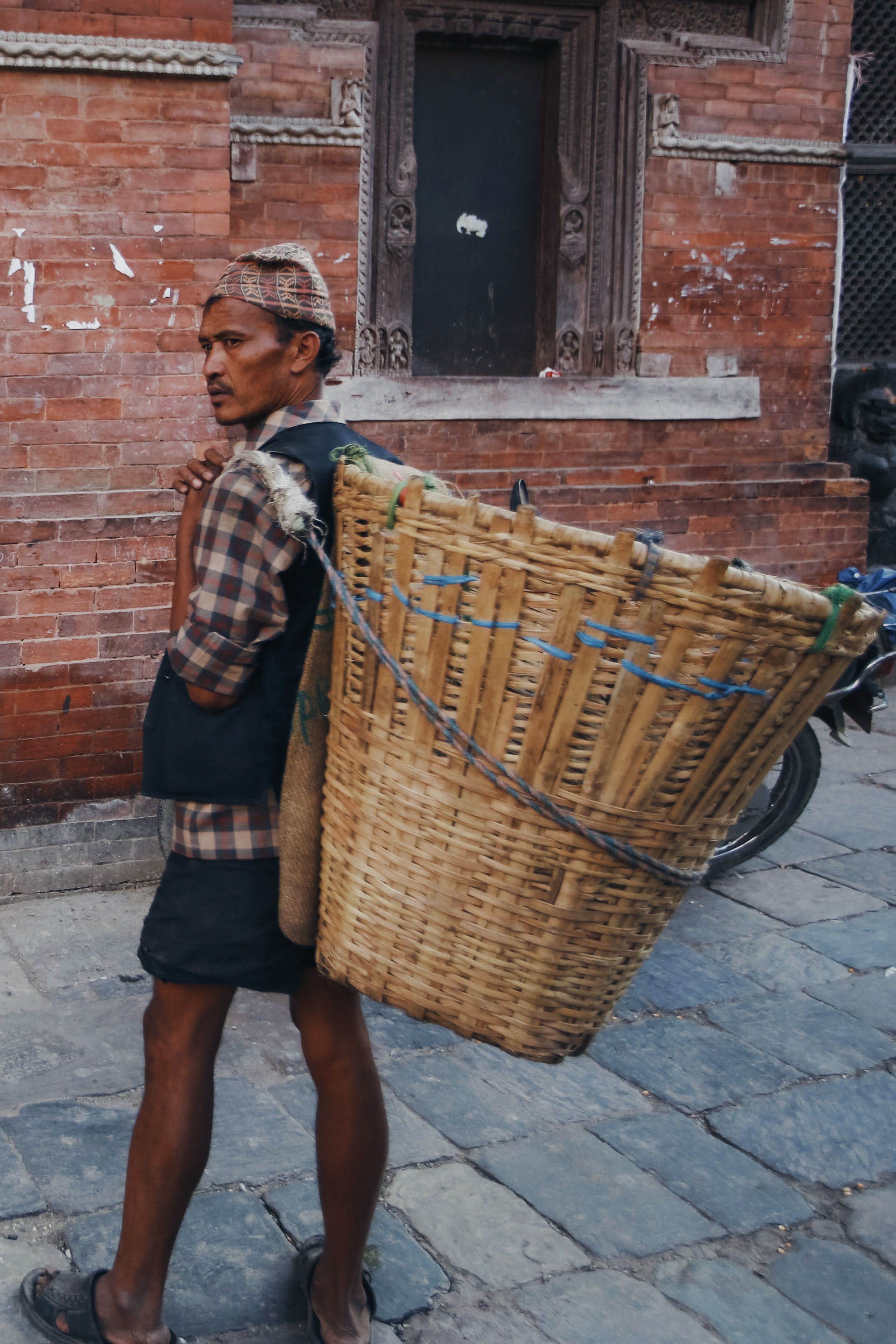 Dengue Carrying Photos, Download The BEST Free Dengue Carrying Stock ...