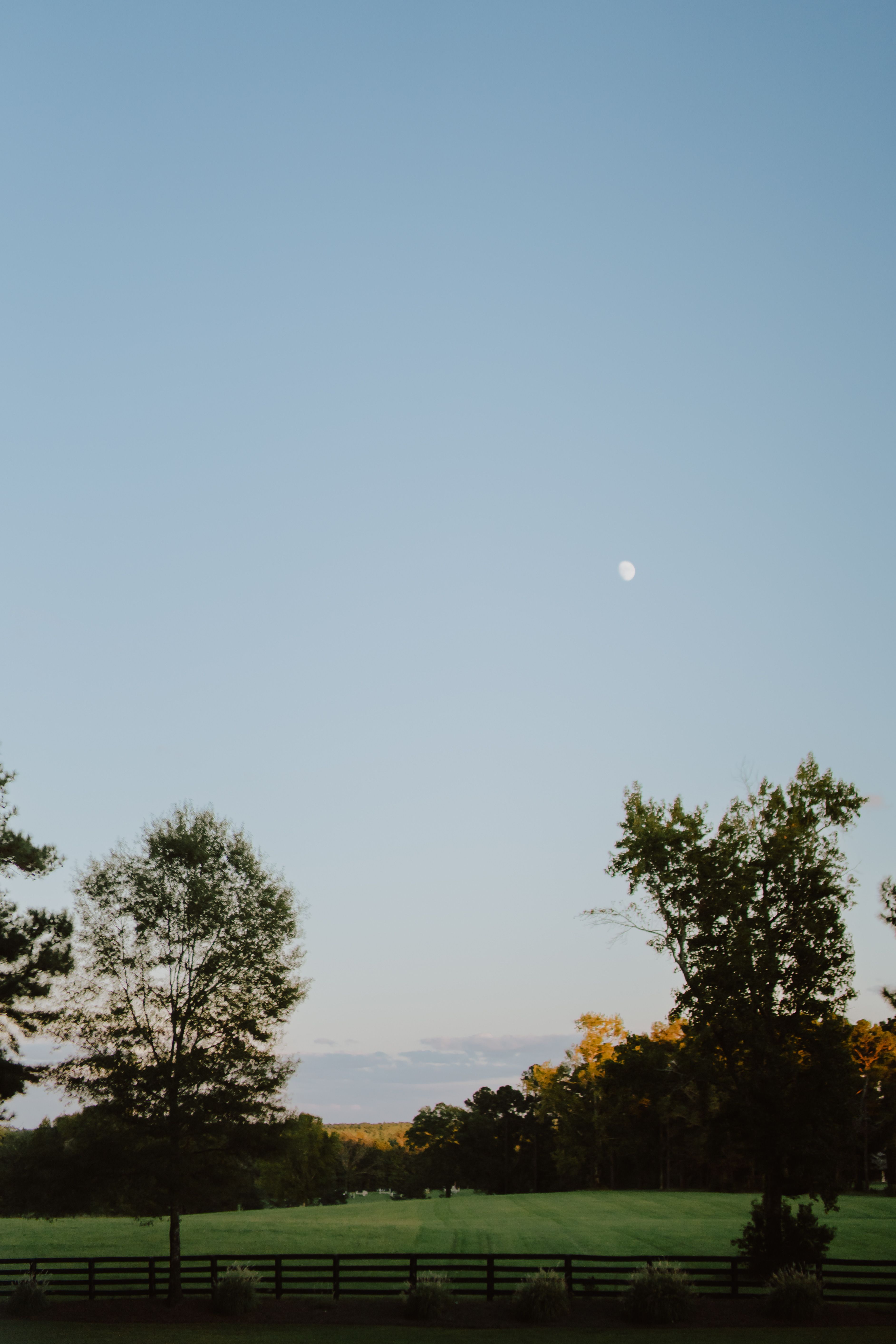 Clear, Blue Sky over Grassland · Free Stock Photo