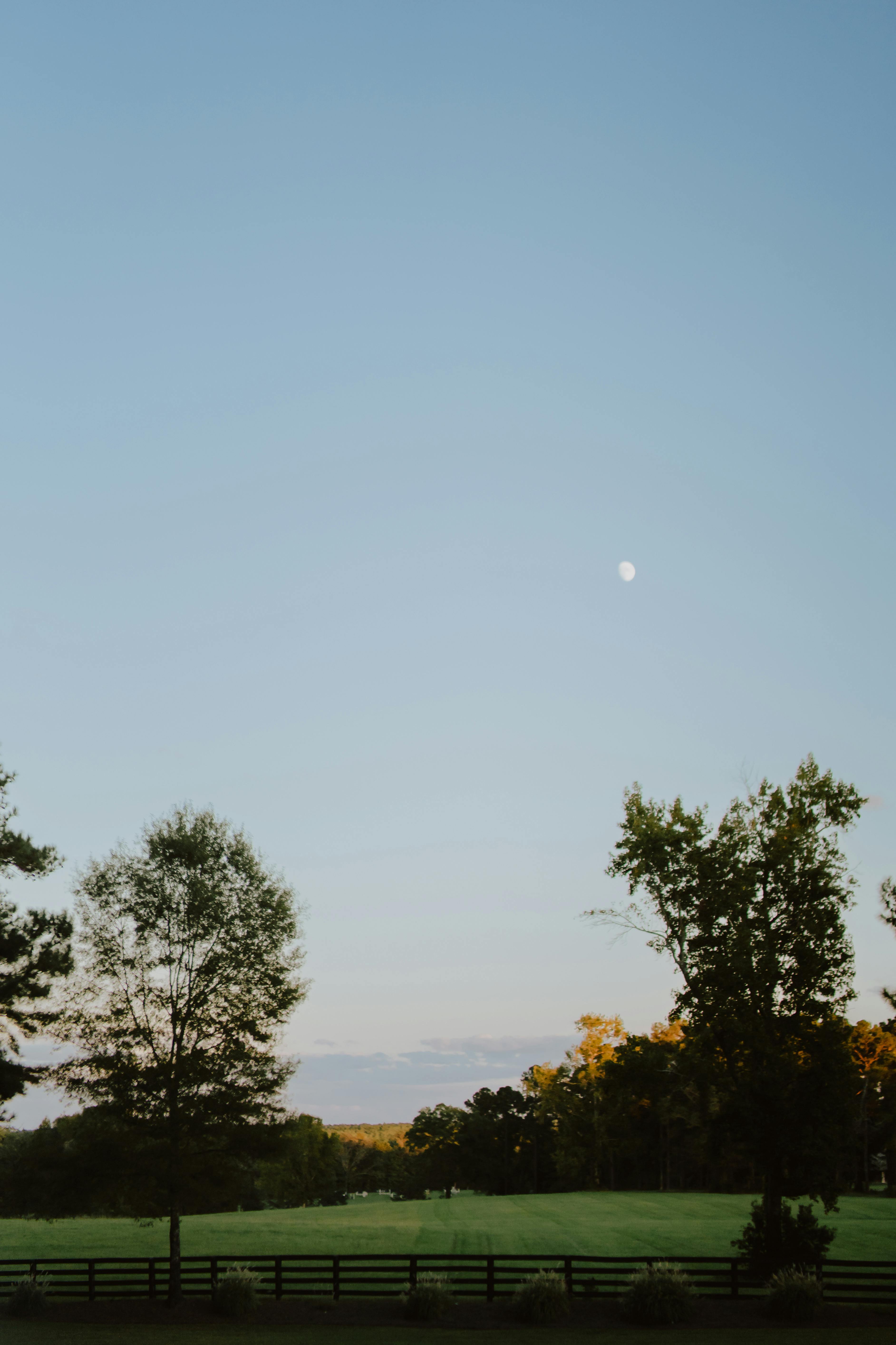 Clear Sky over Pasture behind Fence · Free Stock Photo