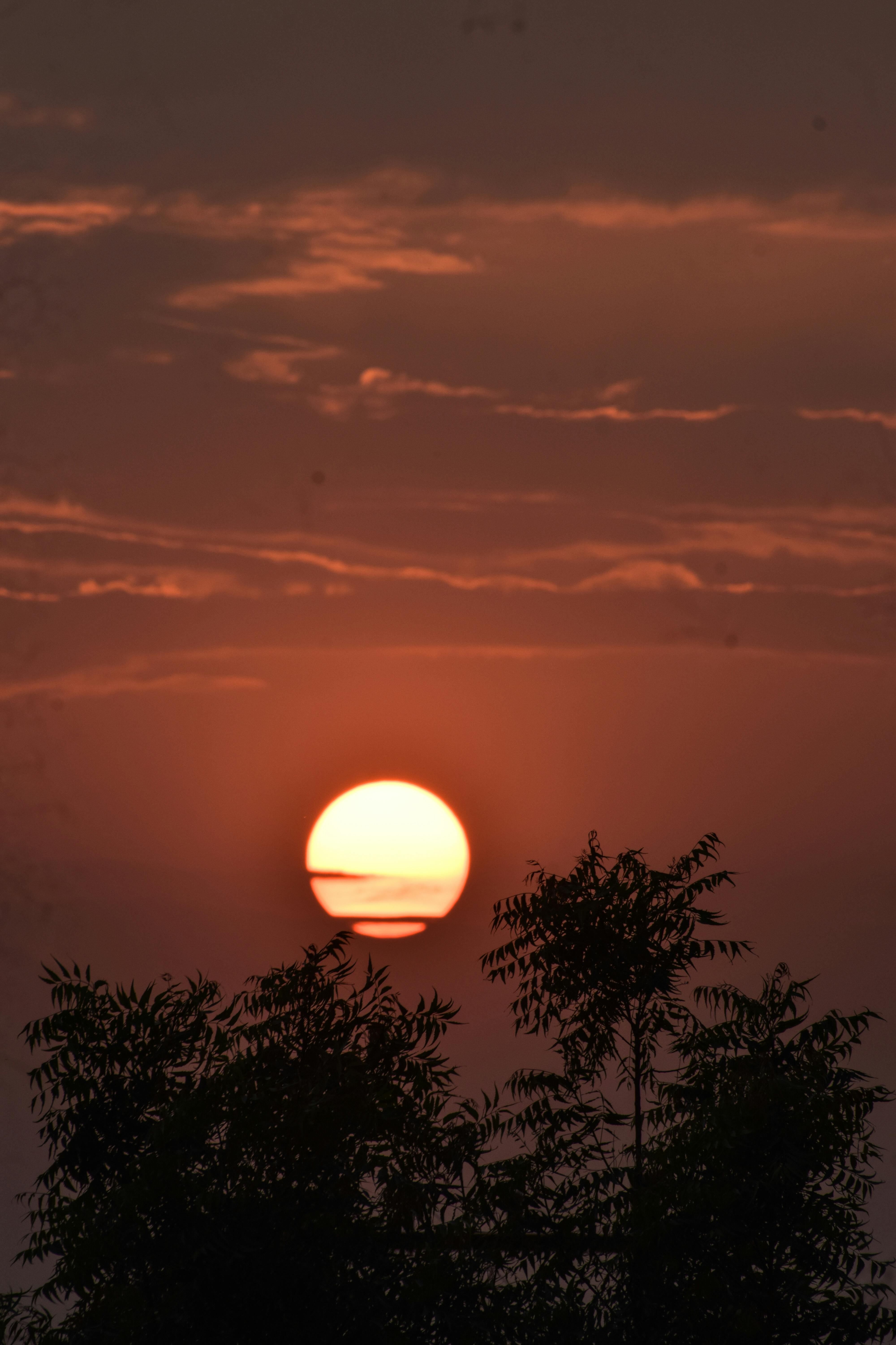 Sun Cartoon Photos, Download The BEST Free Sun Cartoon Stock Photos ...