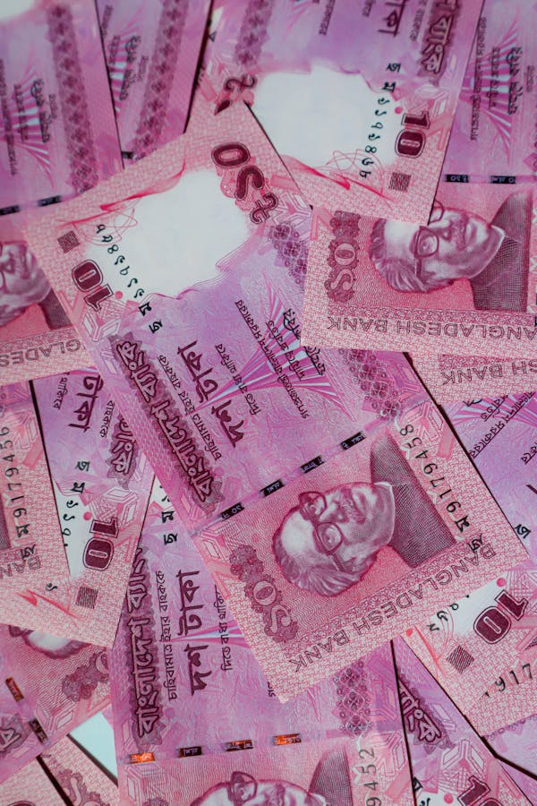 Taka Photos, Download The BEST Free Taka Stock Photos & HD Images