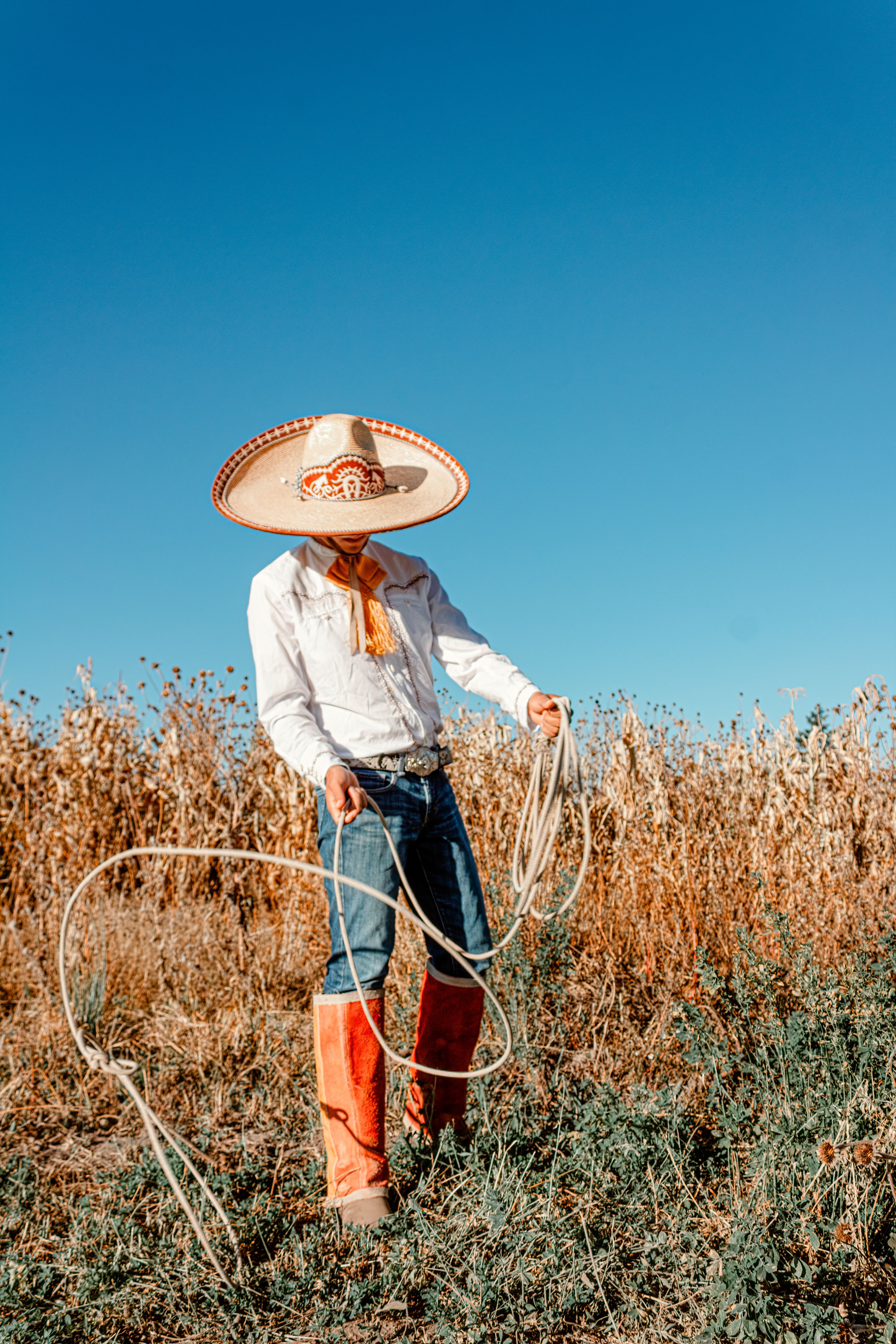 Lasso Lauluja Photos, Download The BEST Free Lasso Lauluja Stock Photos ...