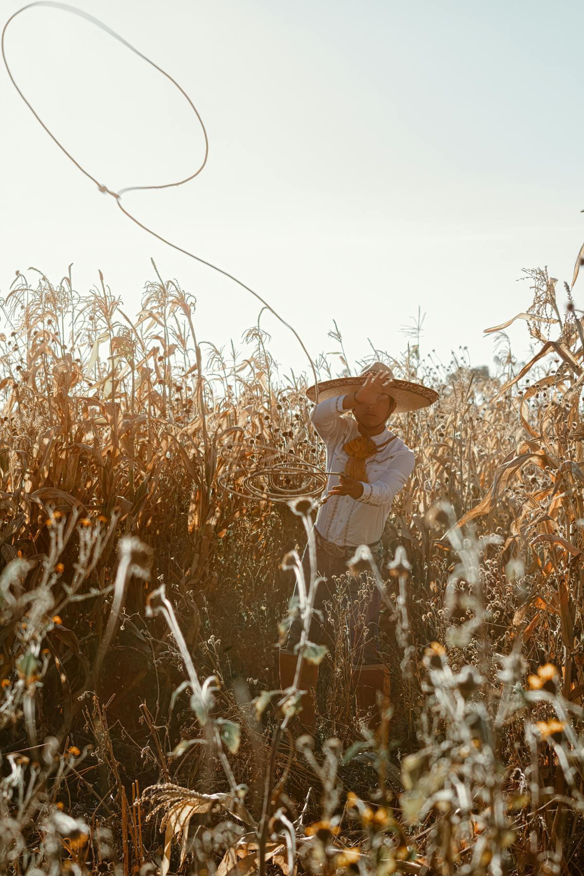 Lasso Photos, Download The BEST Free Lasso Stock Photos & HD Images