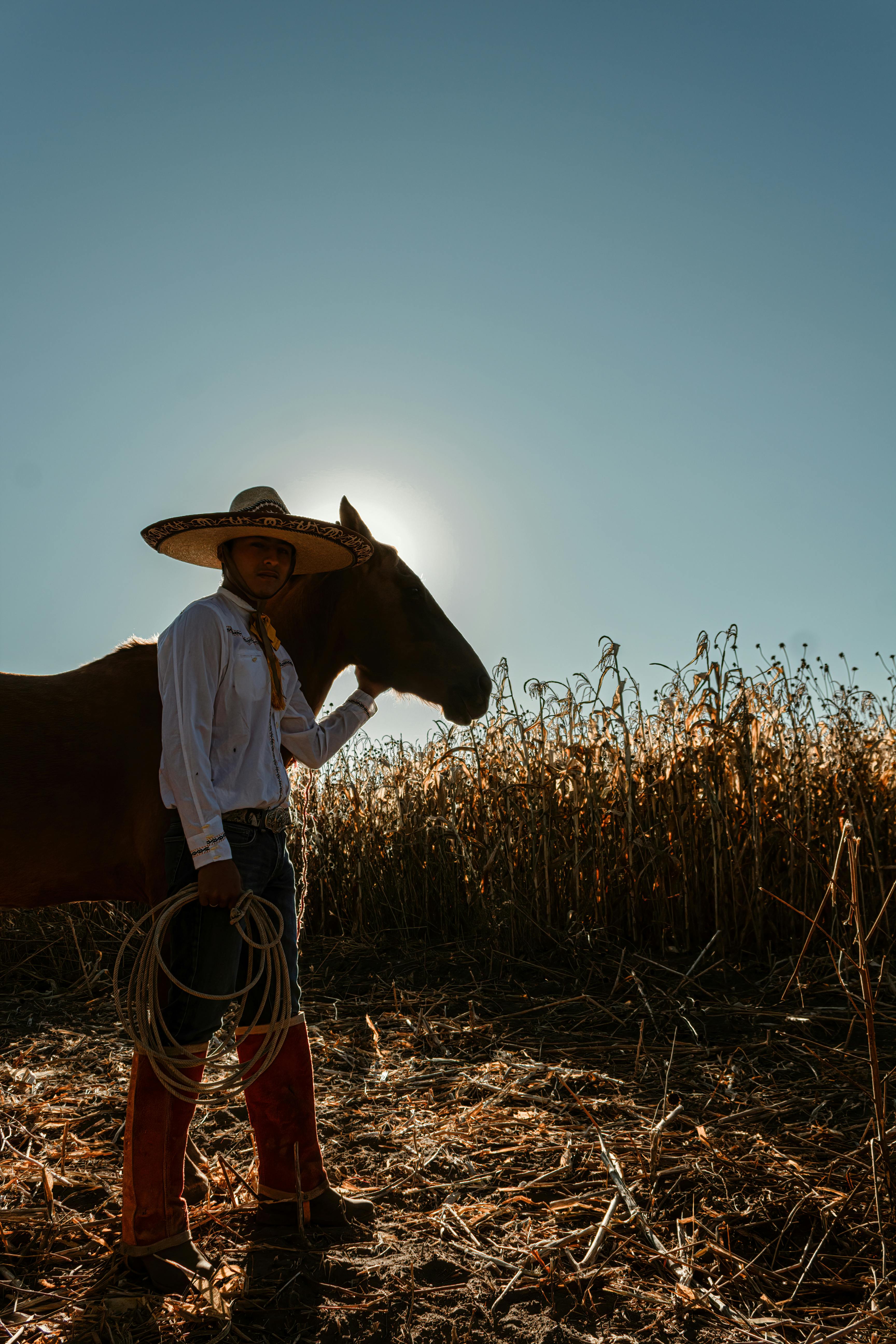 Cowboy Duel Photos, Download The BEST Free Cowboy Duel Stock Photos ...
