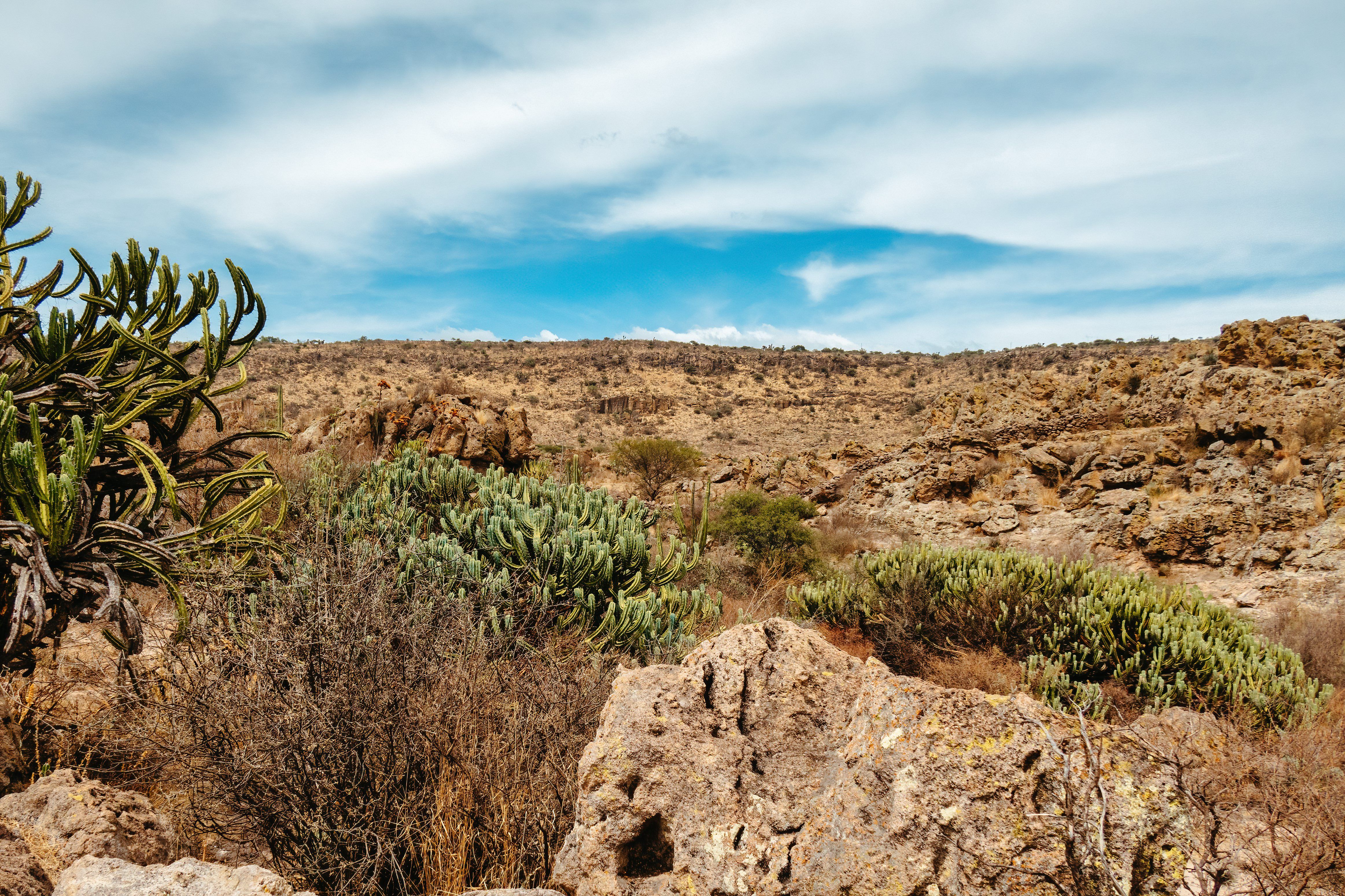 Arid Rocks and Plants Scenery · Free Stock Photo