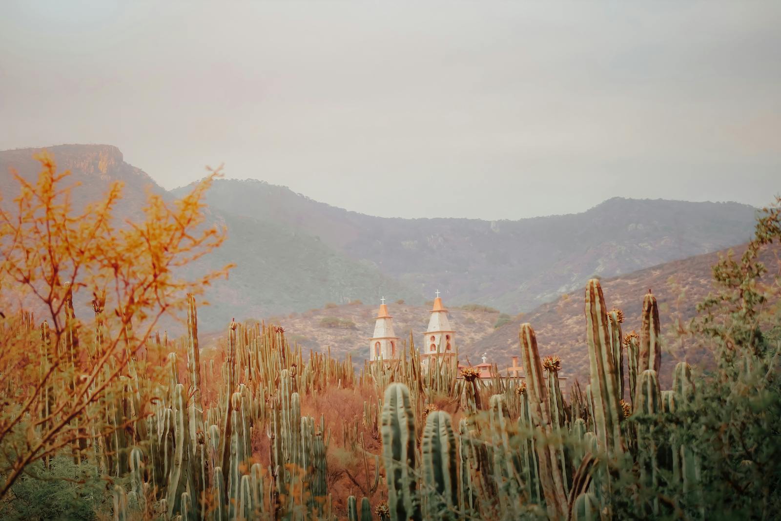 Desert Mexico Photos, Download The BEST Free Desert Mexico Stock Photos ...