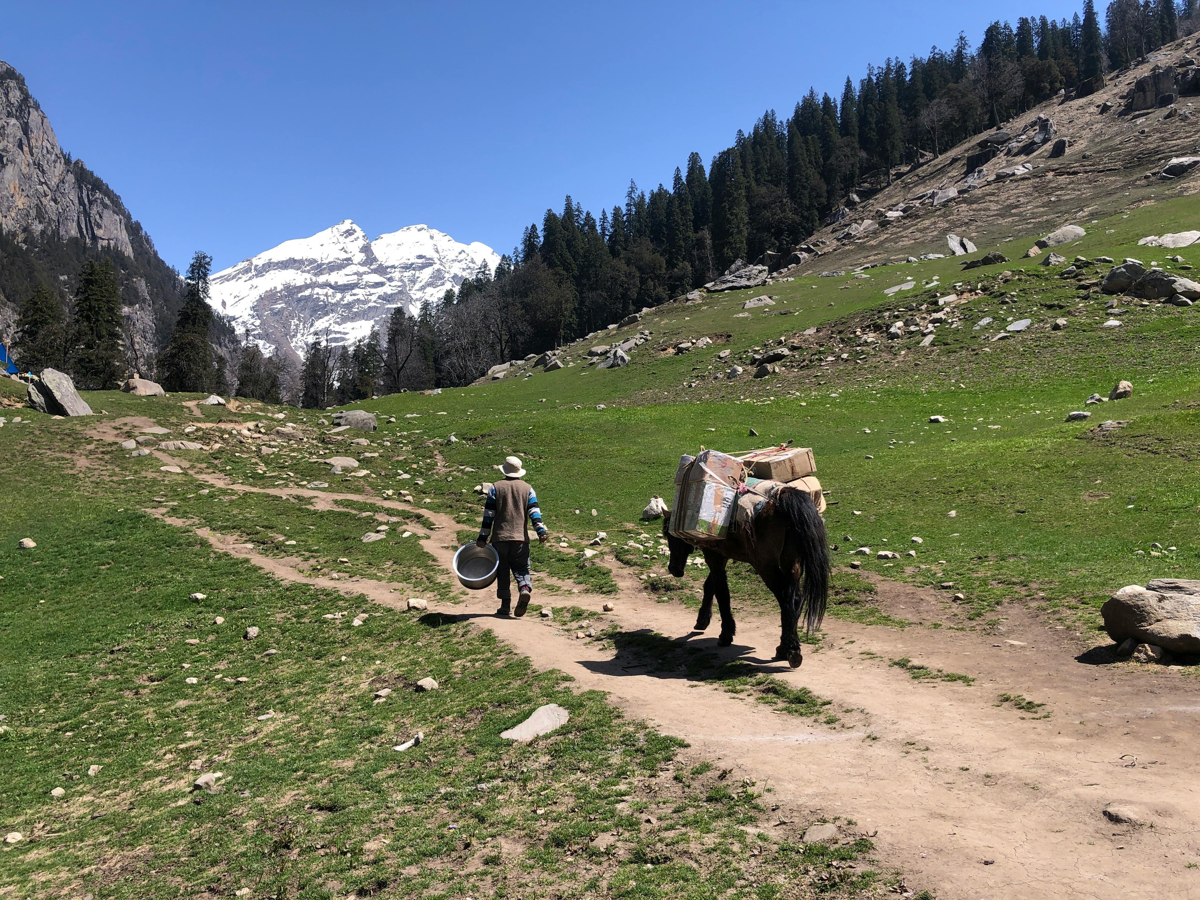 Man Walking with a Mule Carrying Luggage · Free Stock Photo