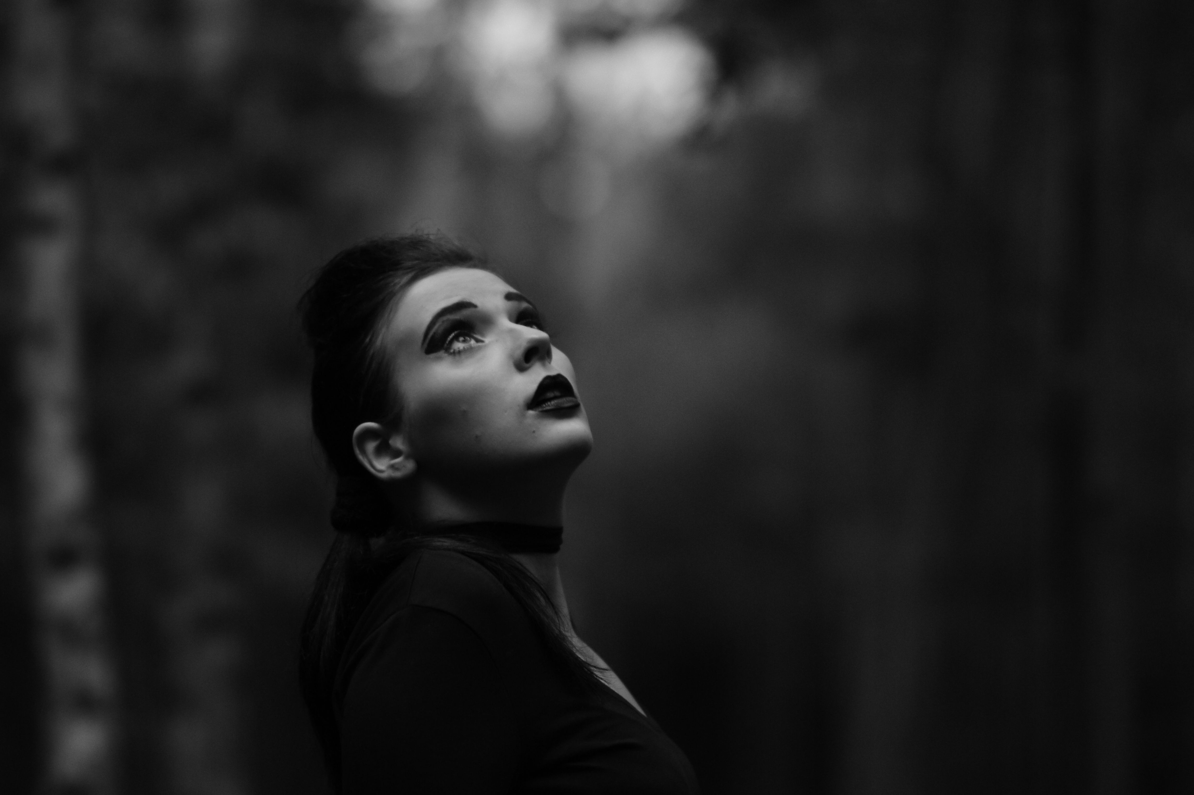 Foto de stock gratuita sobre al aire libre, arboles, arte, autofoto ...