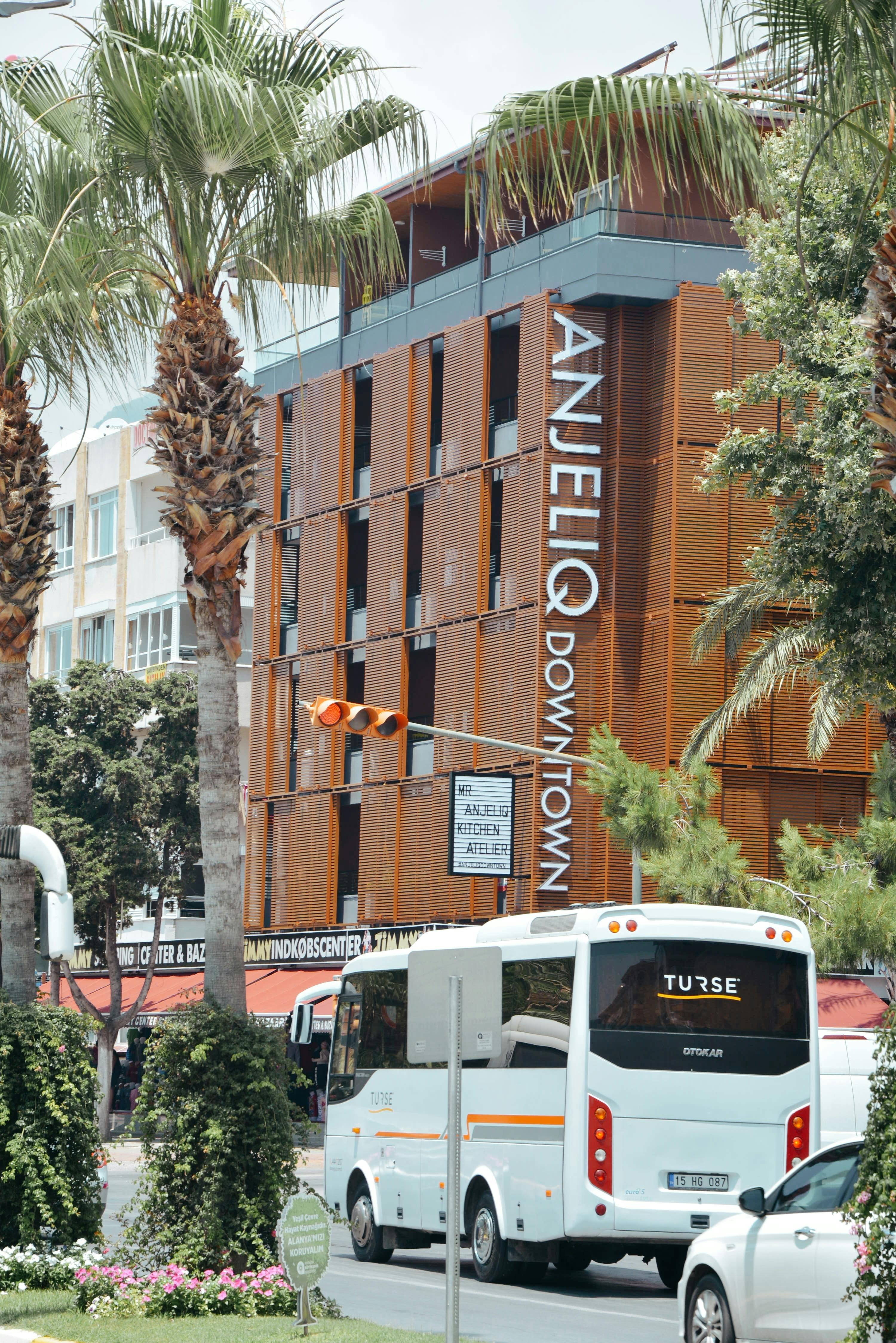 Bus Foto Photos, Download The BEST Free Bus Foto Stock Photos & HD Images