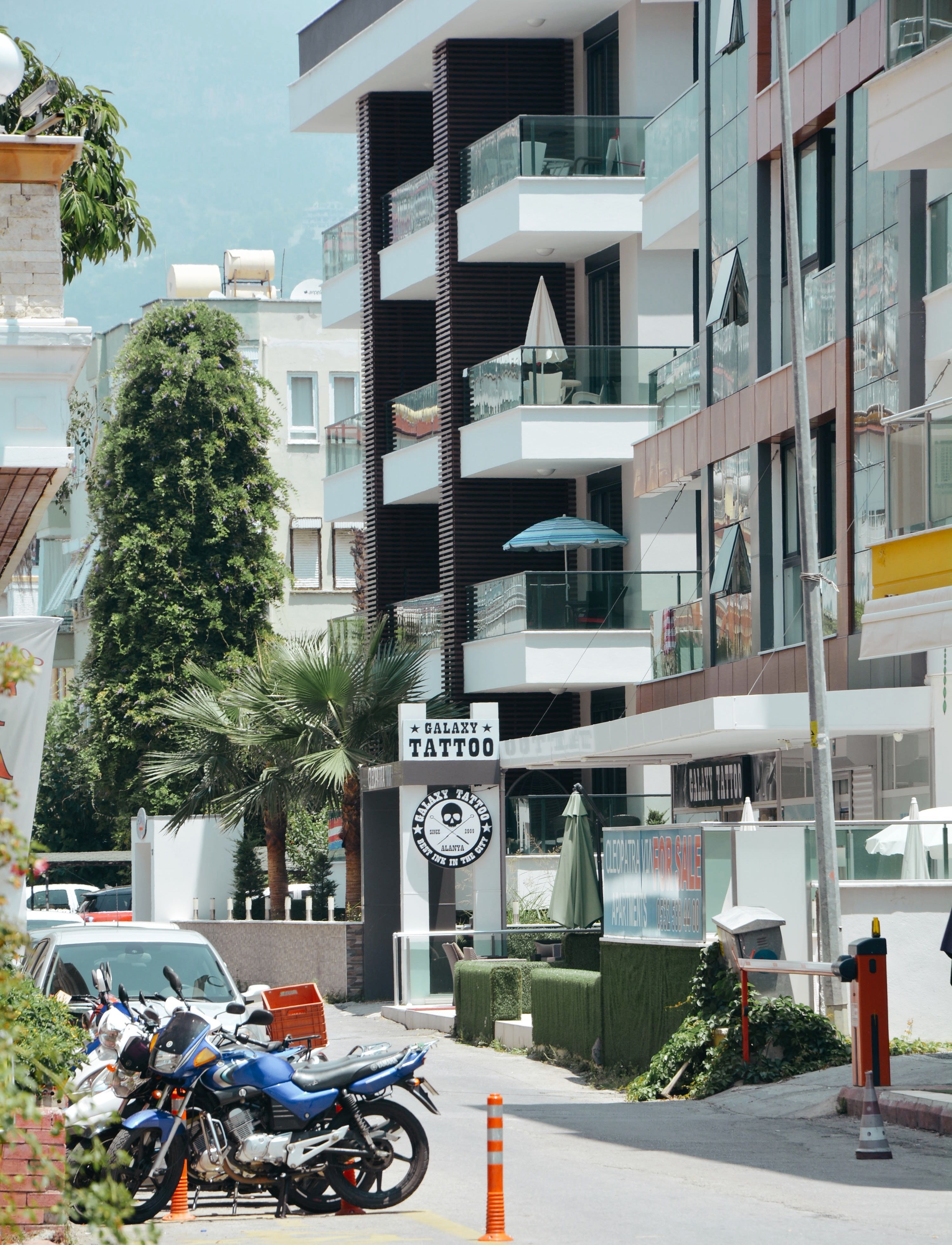 Lone Tree by Residential Building · Free Stock Photo