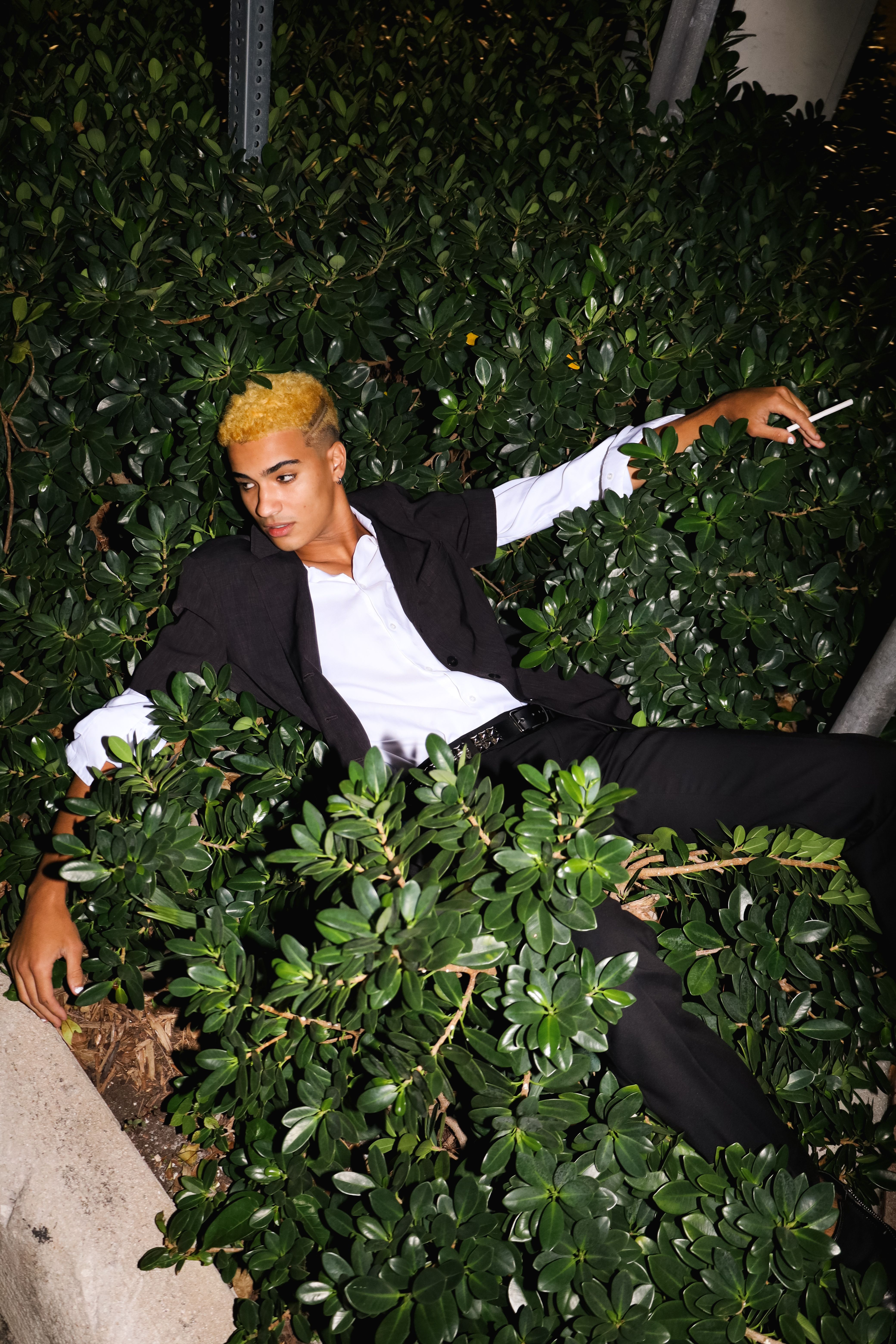 Man with a Cigarette in His Hand Lies in the Shrubs · Free Stock Photo