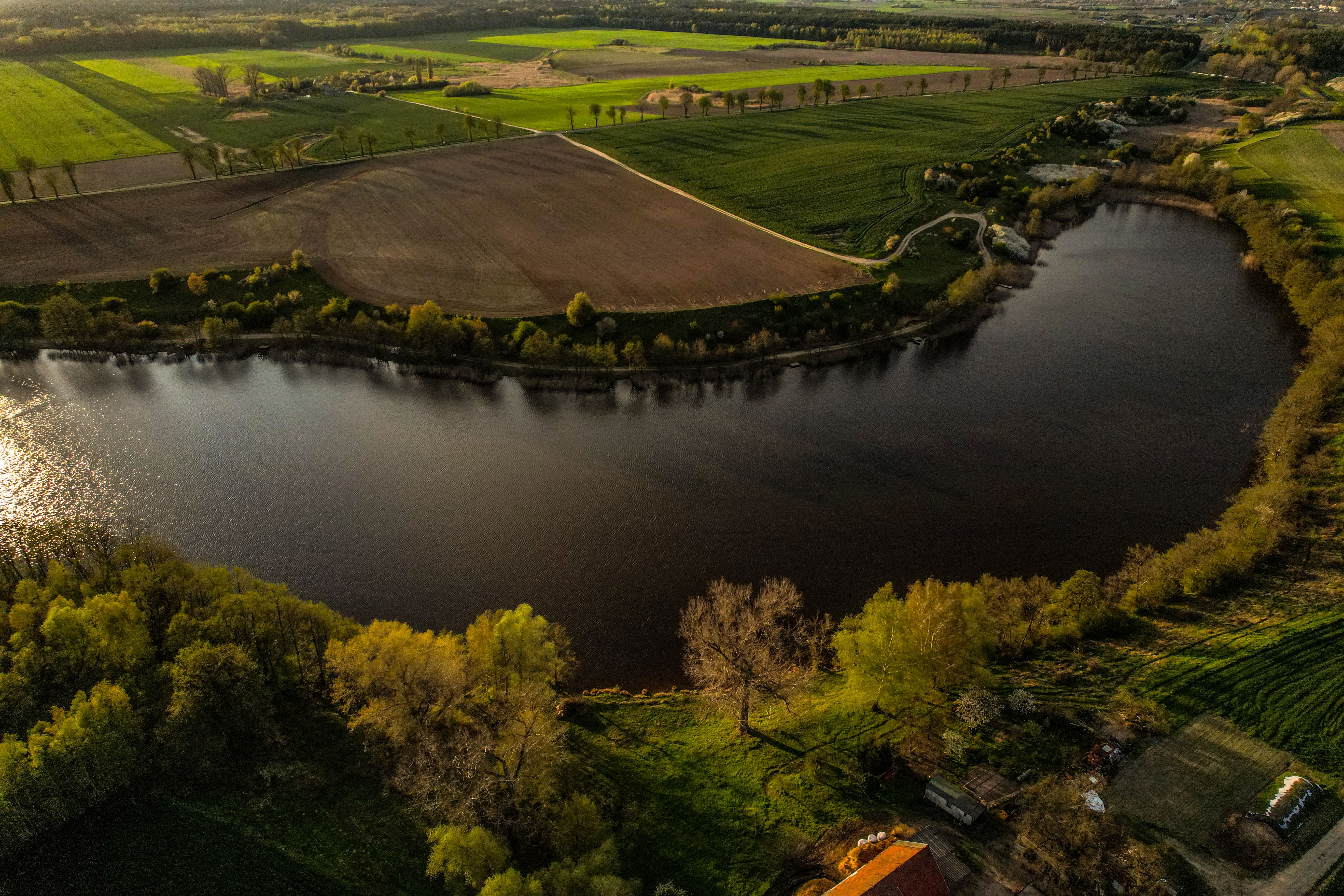 Lake between Fields · Free Stock Photo