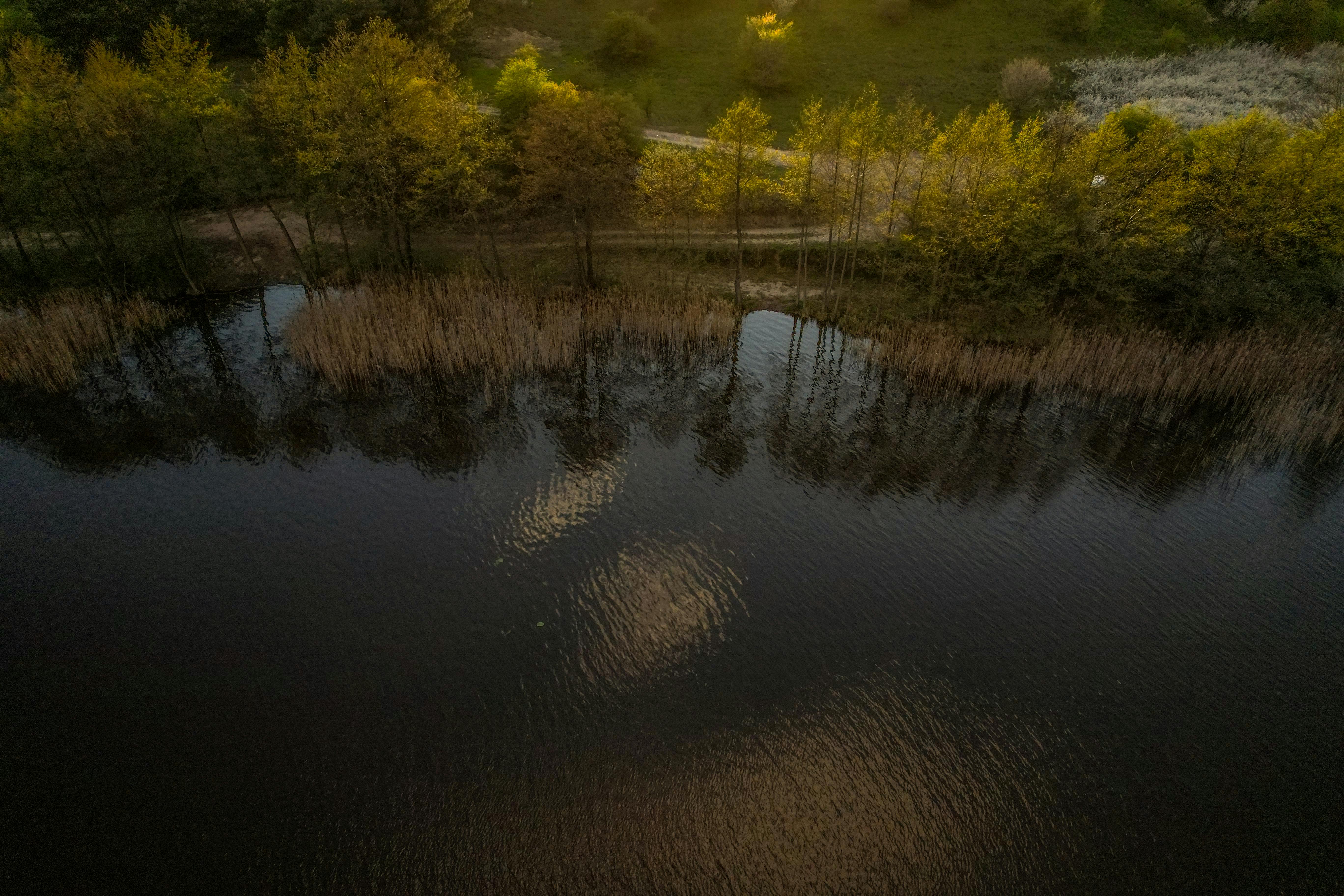 Ripples on Lake · Free Stock Photo