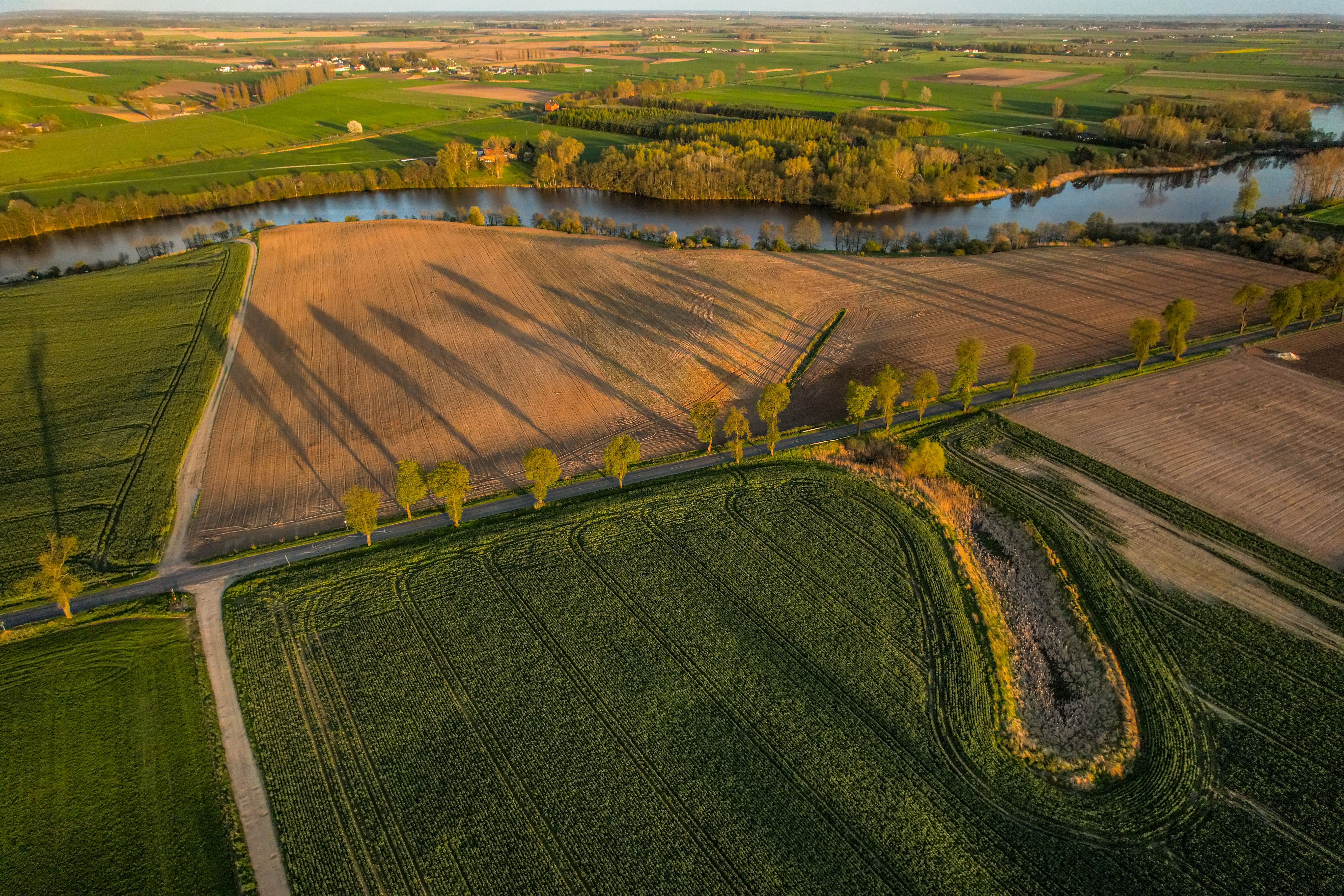 Fields and Lake in Countryside · Free Stock Photo
