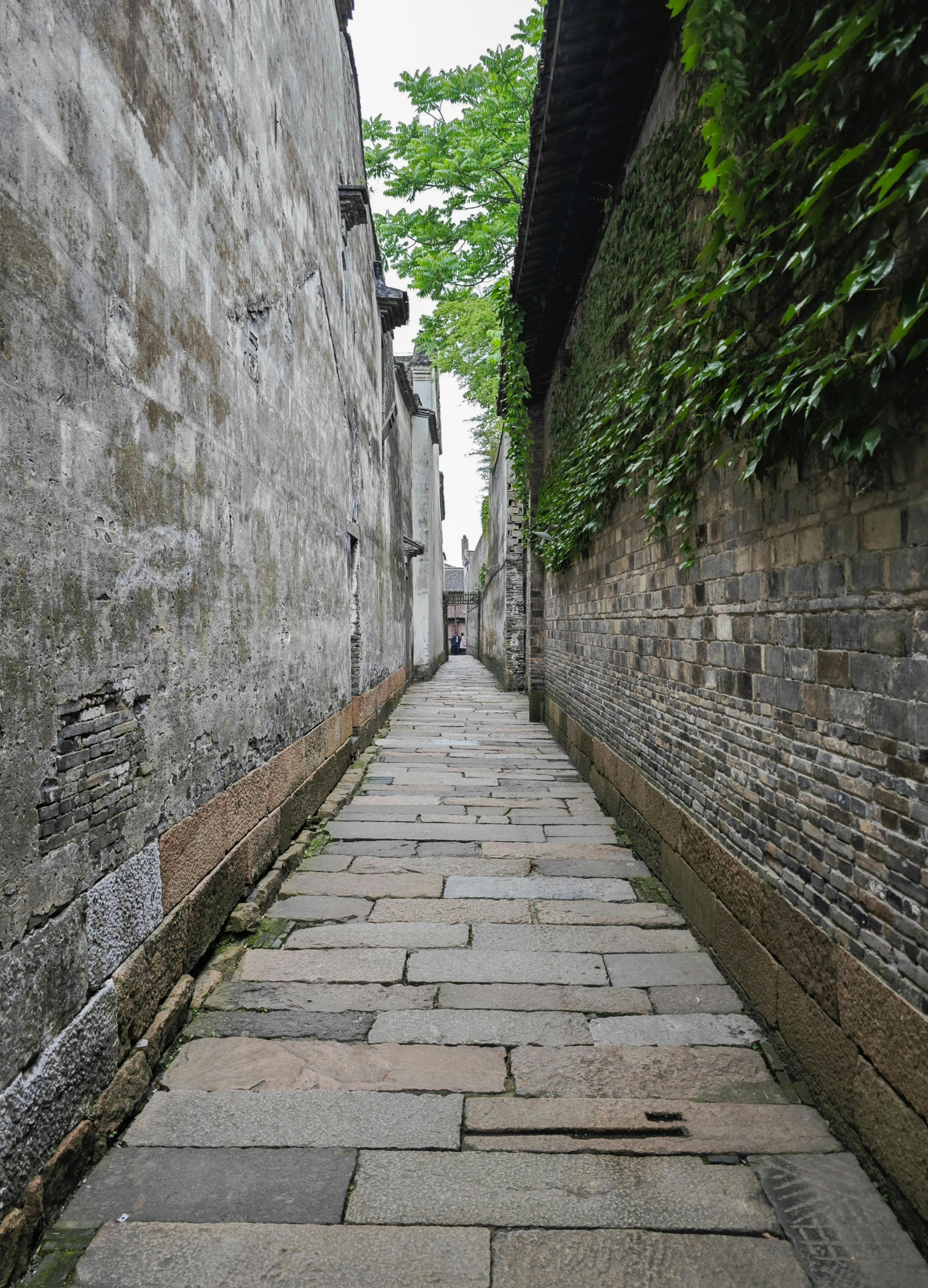 Brown Brick Pathway Between Concrete Buildings · Free Stock Photo