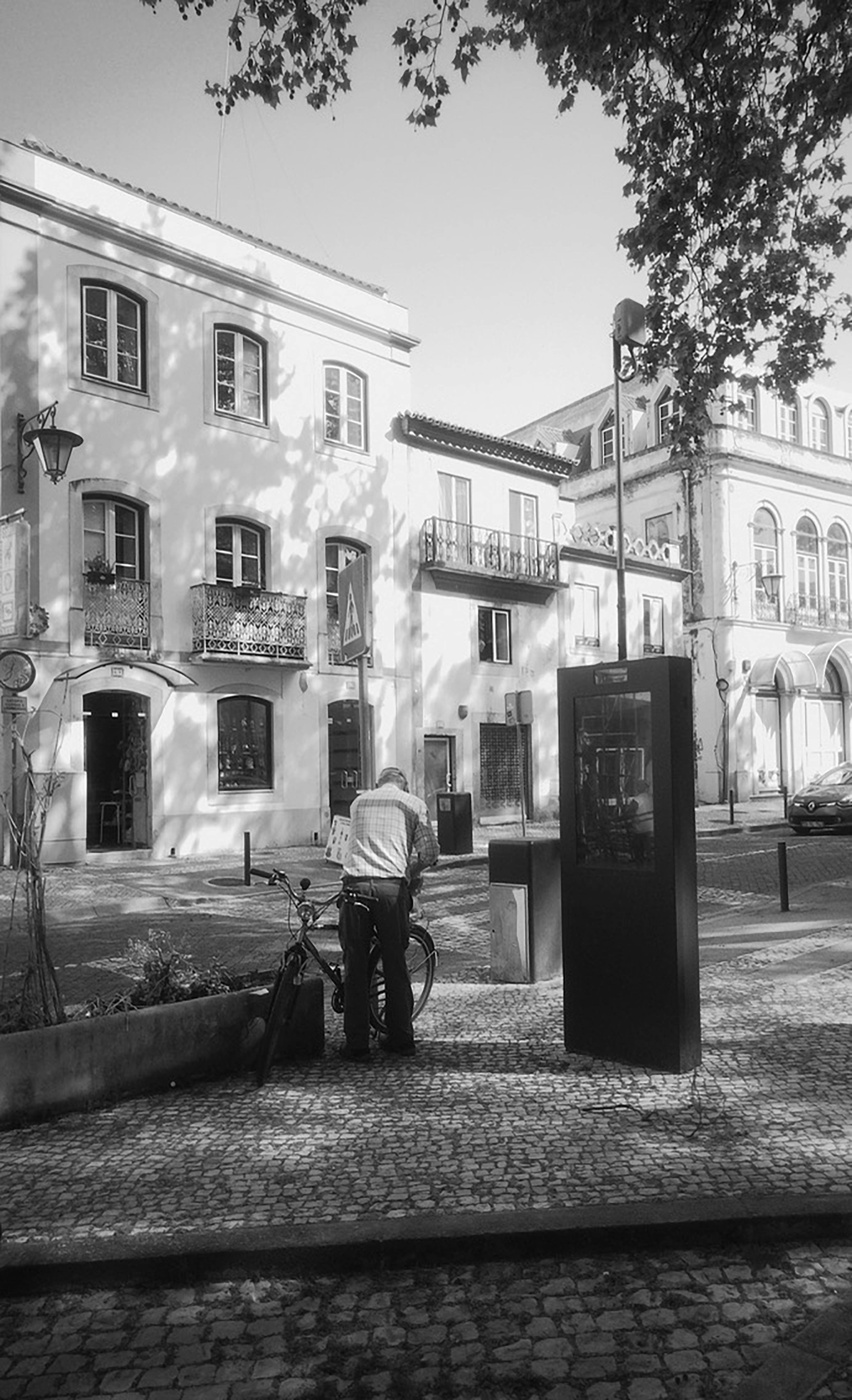 Trees on Square in Town in Black and White · Free Stock Photo