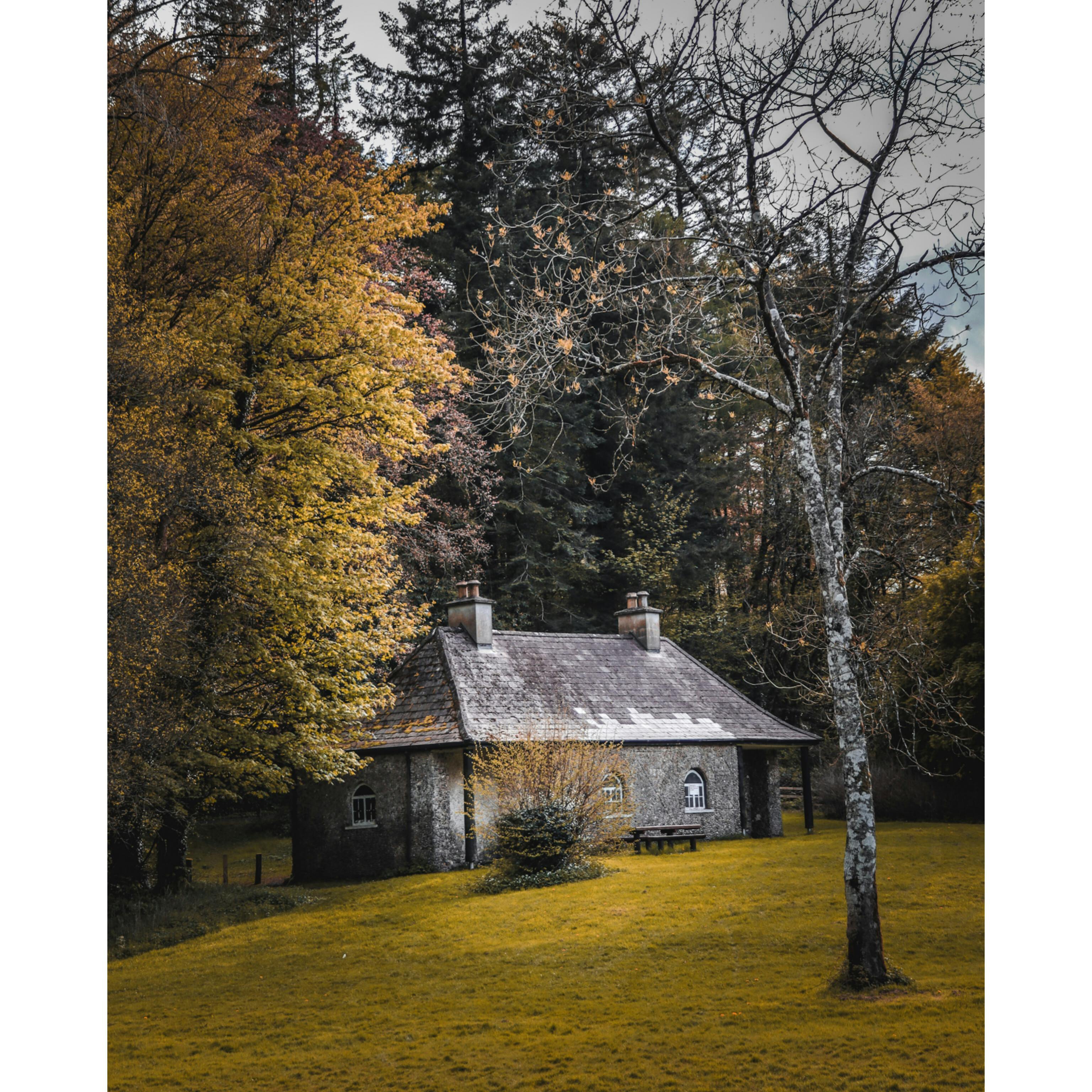 House among Trees · Free Stock Photo