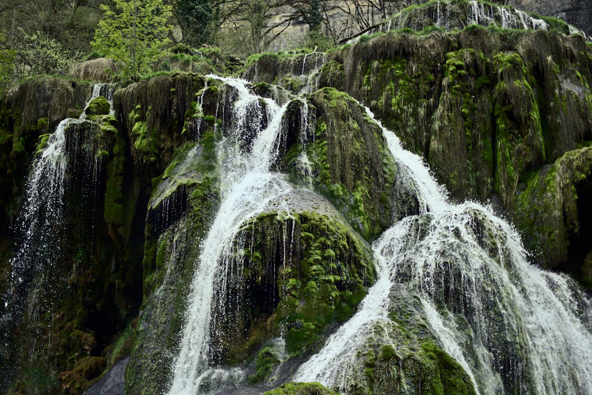 Tuf Photos, Download The BEST Free Tuf Stock Photos & HD Images