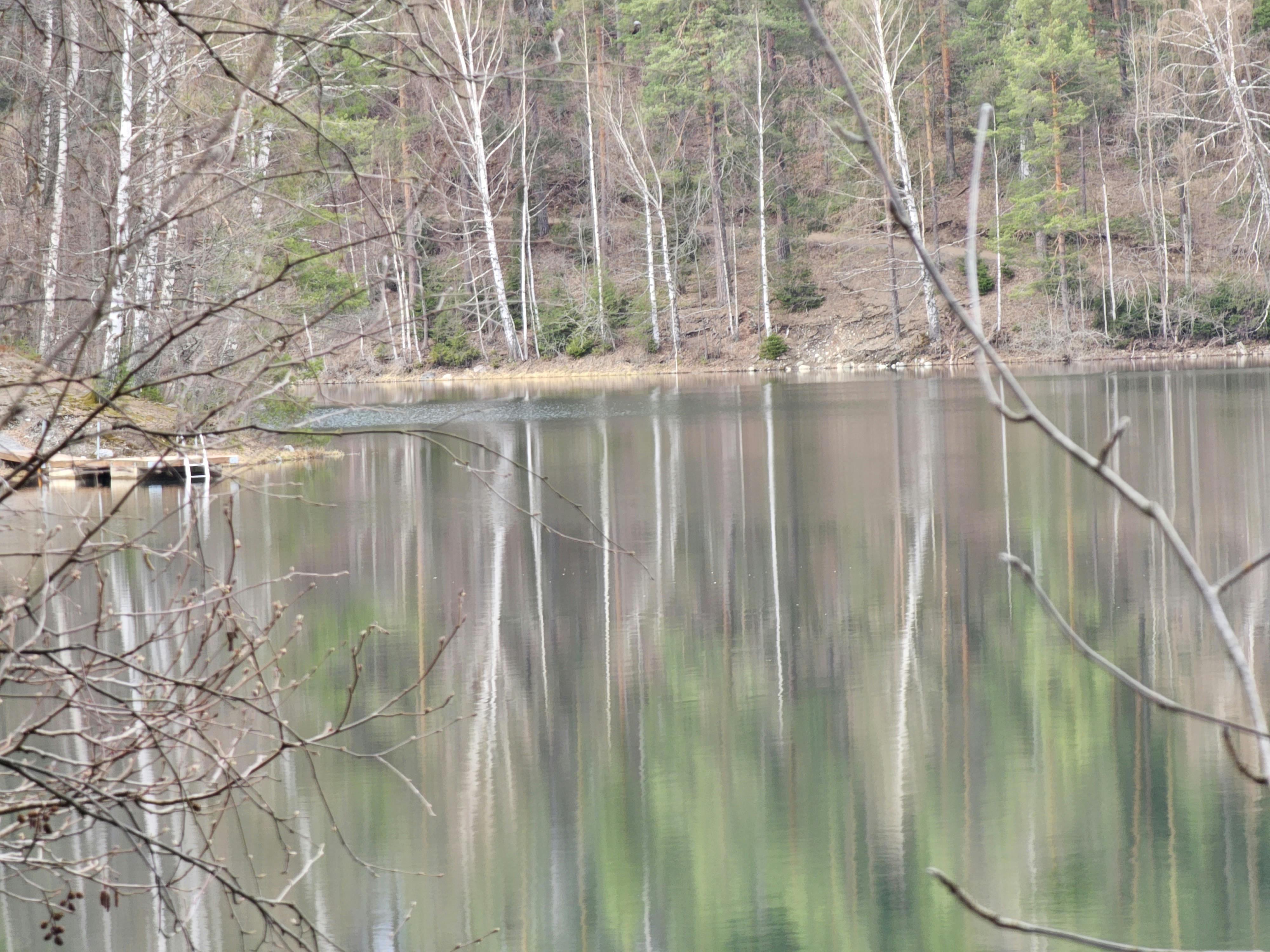 Kimmo Vainio - 摄影