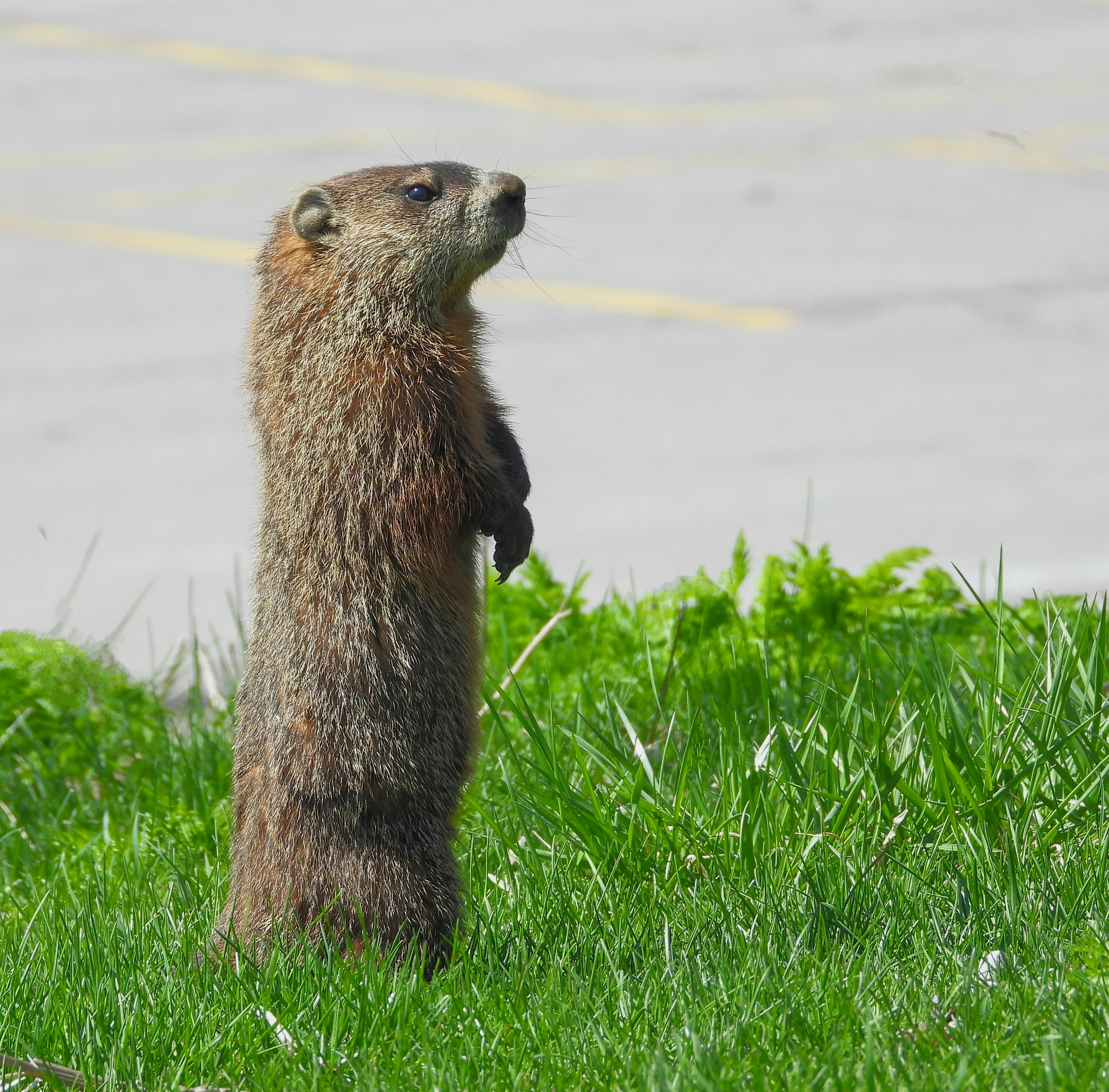 teyi 徐 - Fotografía