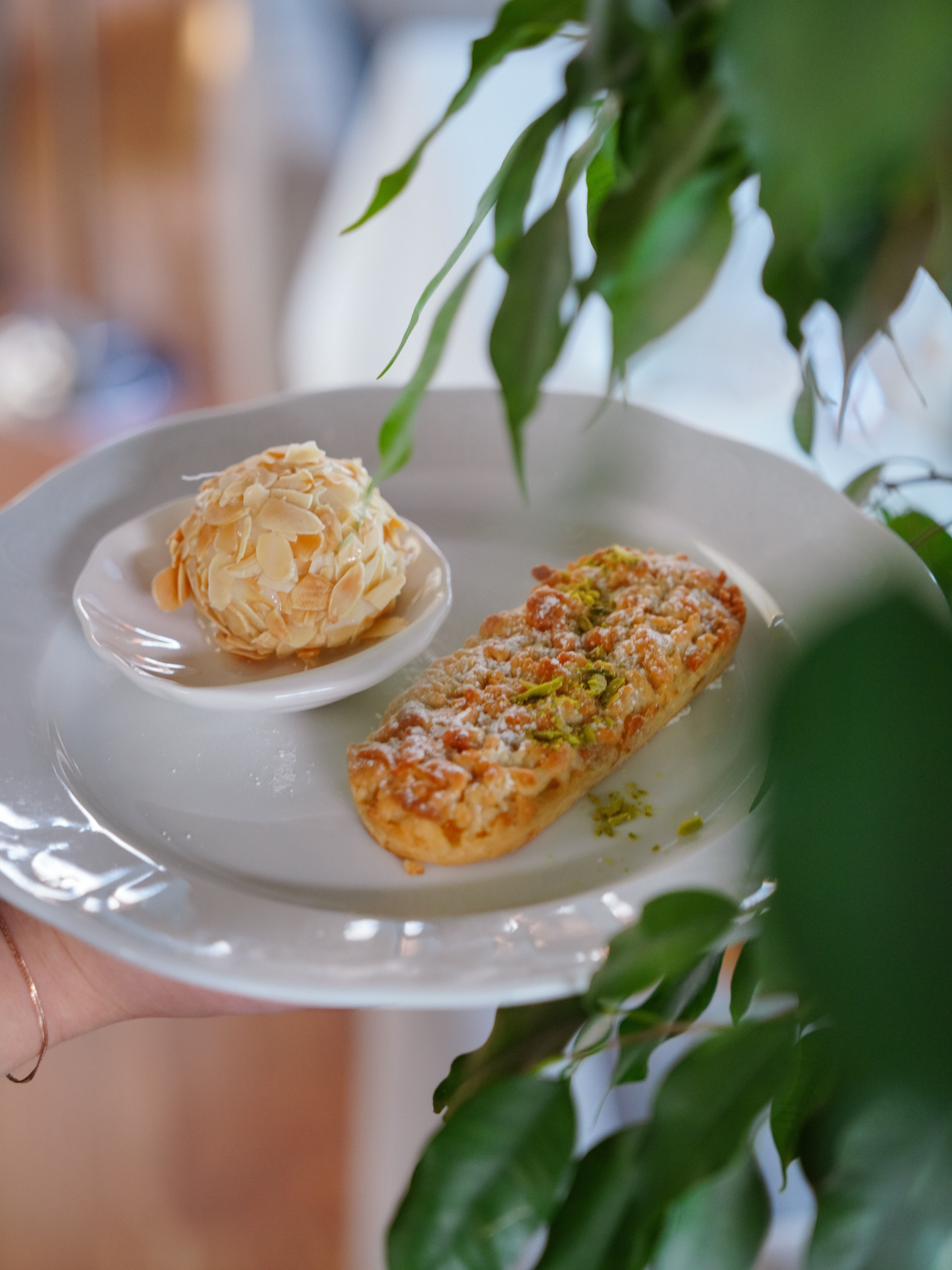 Delicious Lunch on Plate · Free Stock Photo