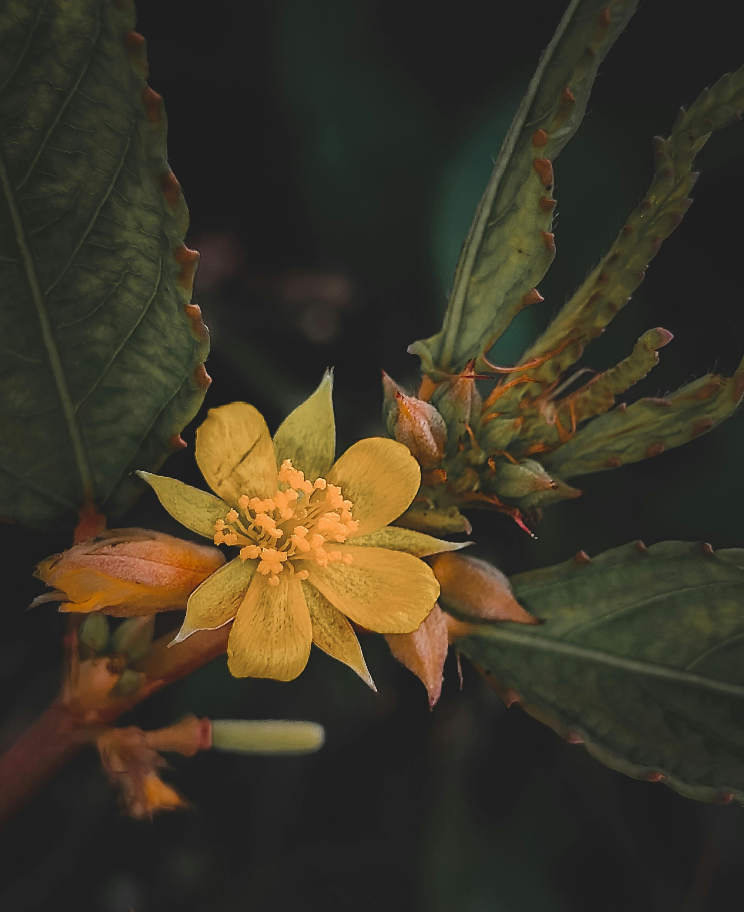 mahesh raut - Photography