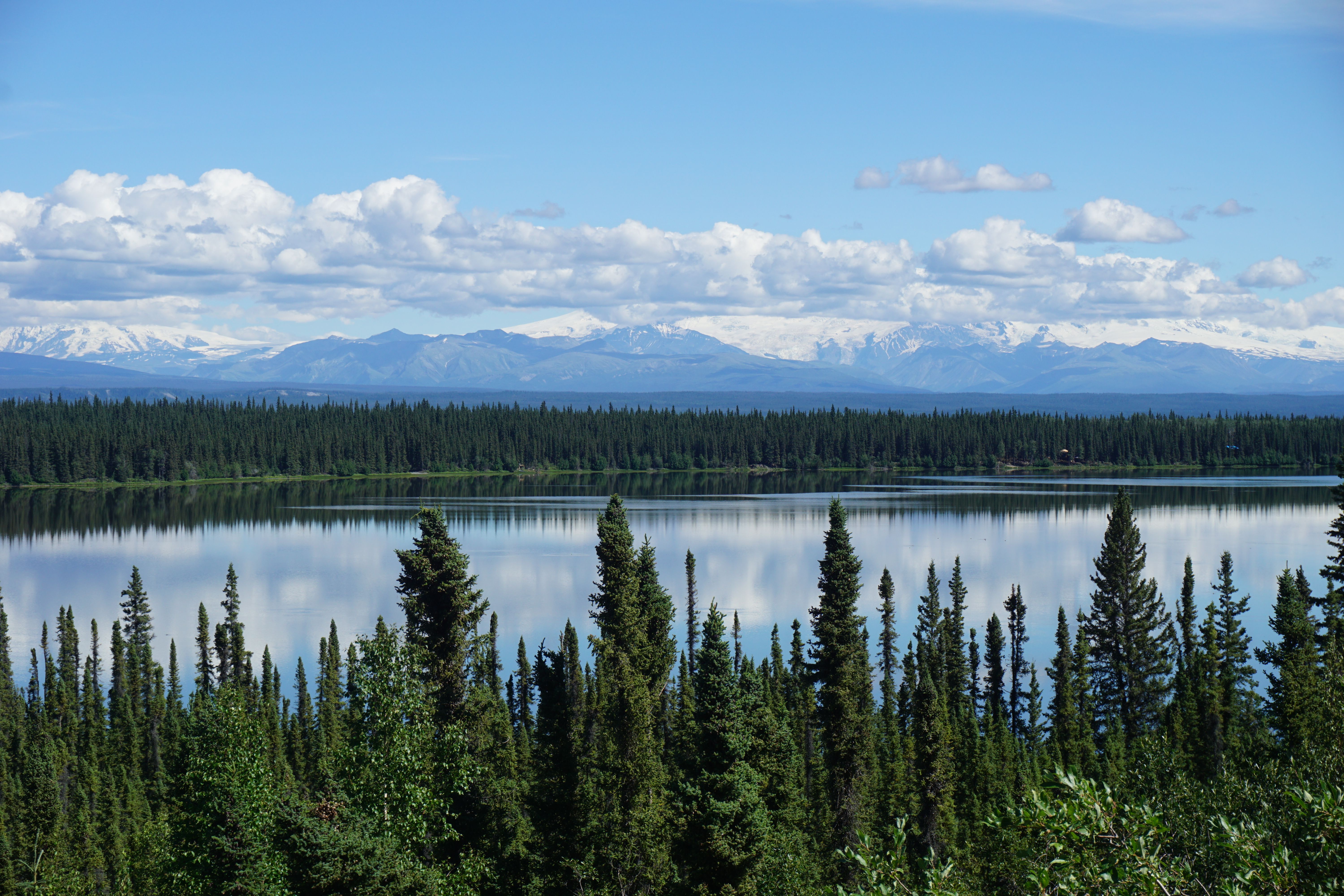 Landscape of Coniferous Trees, River and Mountains · Free Stock Photo