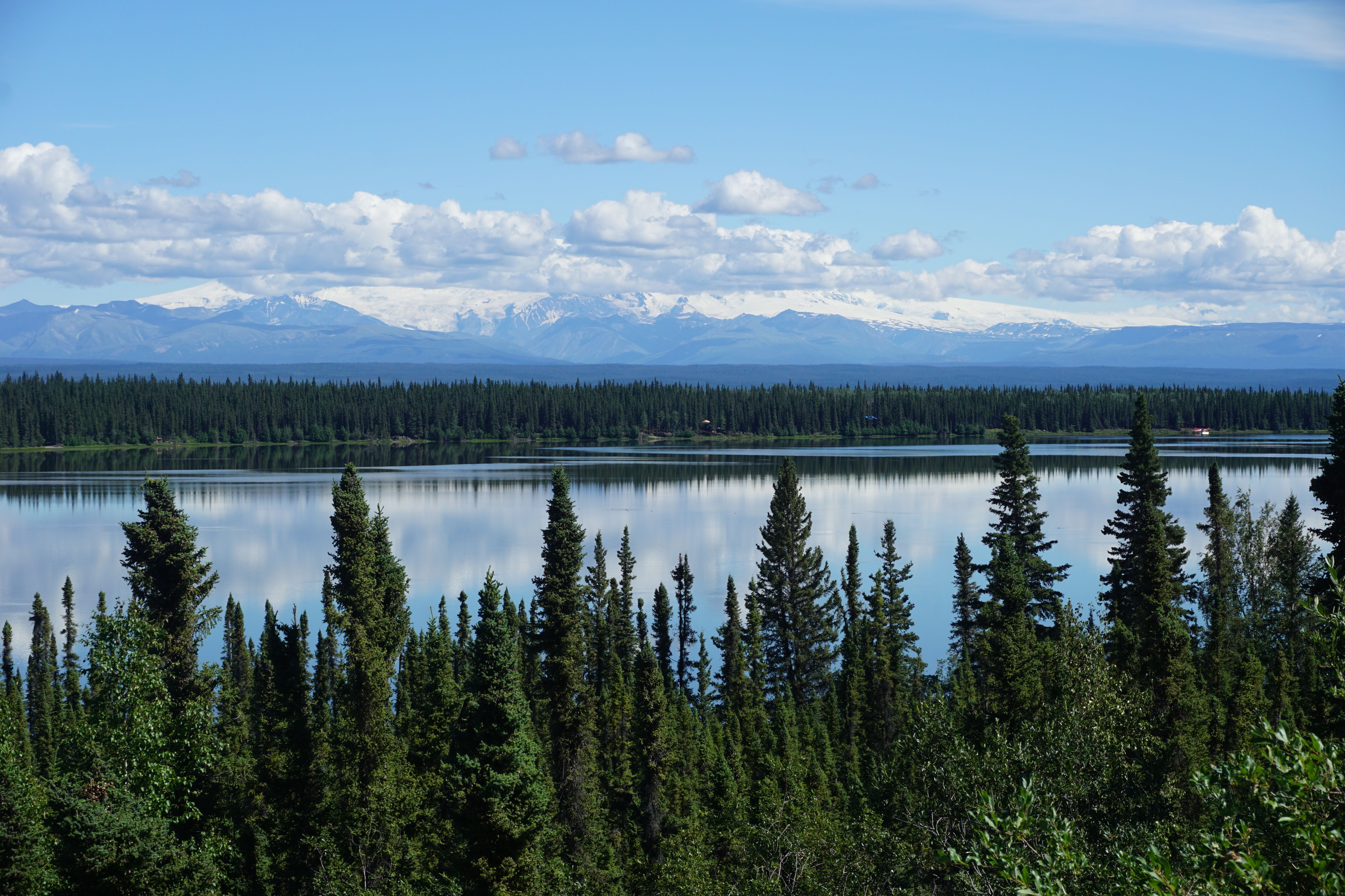 Landscape of Coniferous Trees, River and Mountains · Free Stock Photo