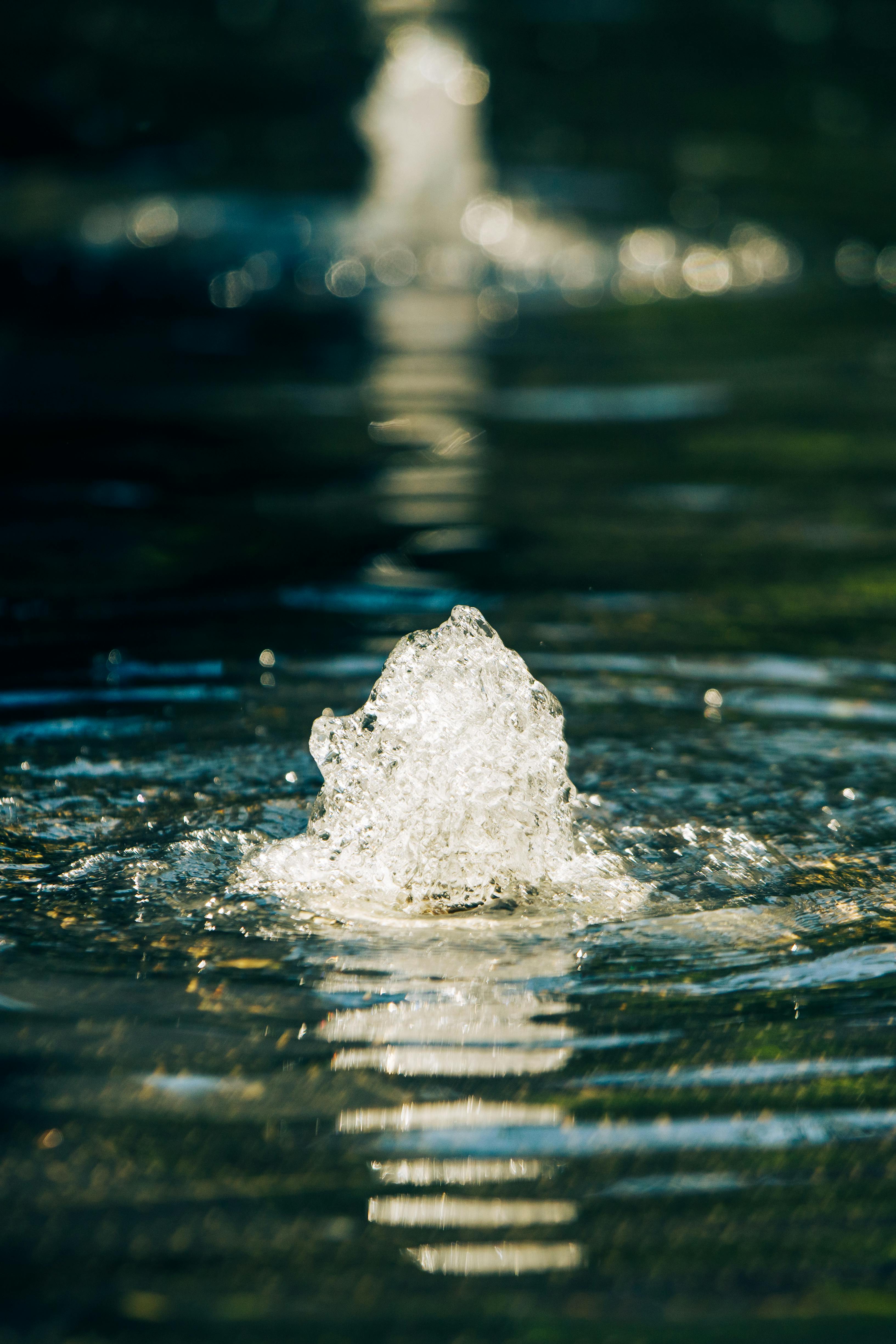 Water Ripple · Free Stock Photo